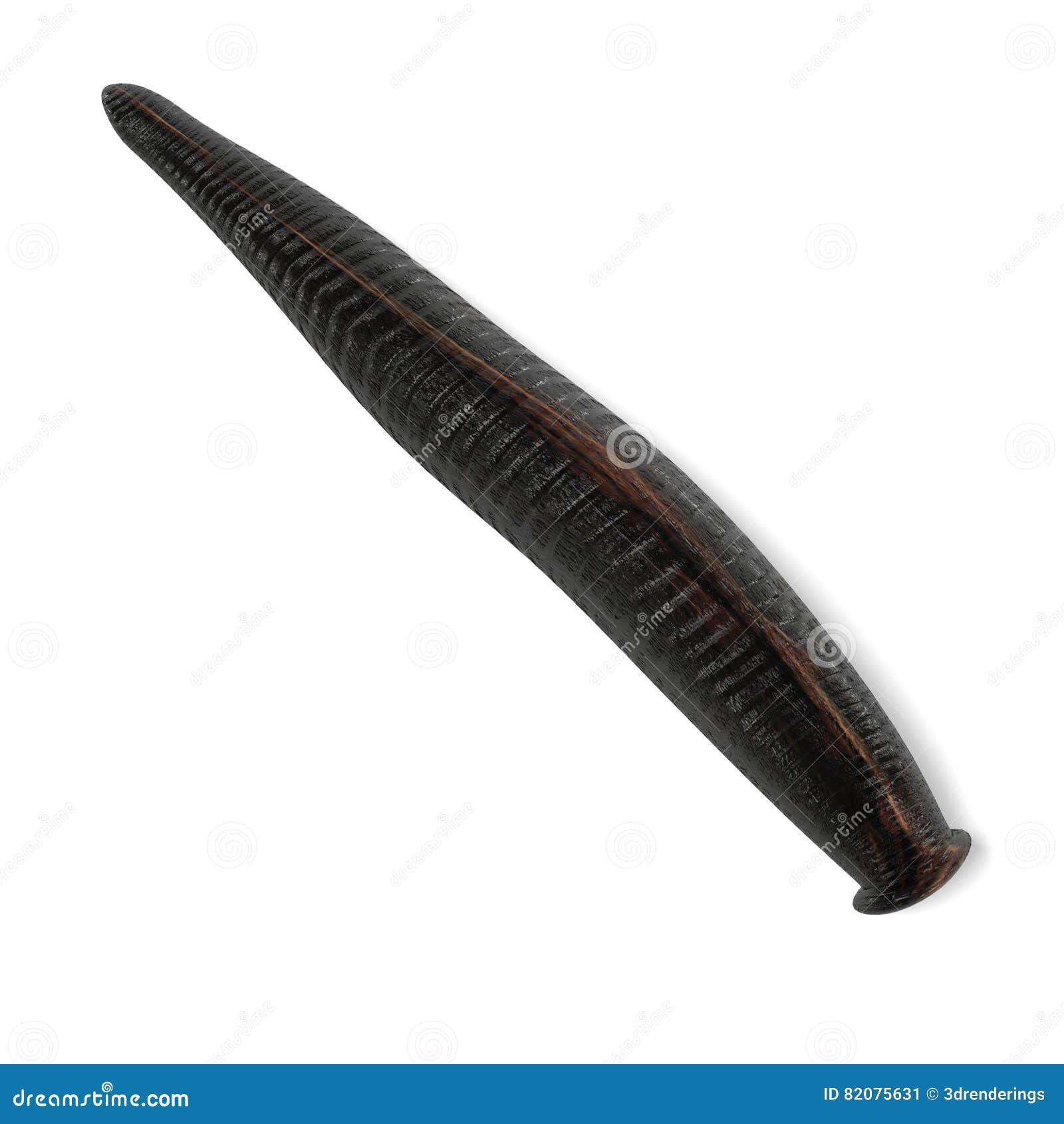 Leech stock illustration. Illustration of sucker, health - 82075631