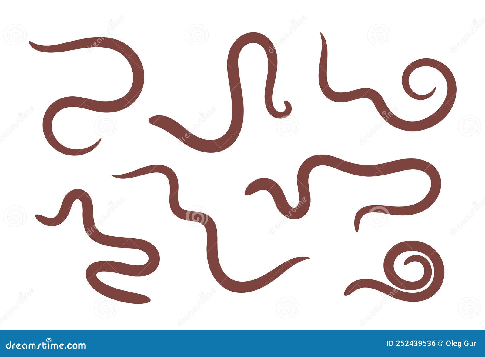Leech Silhouette. Isolated Leech On White Background Vector ...