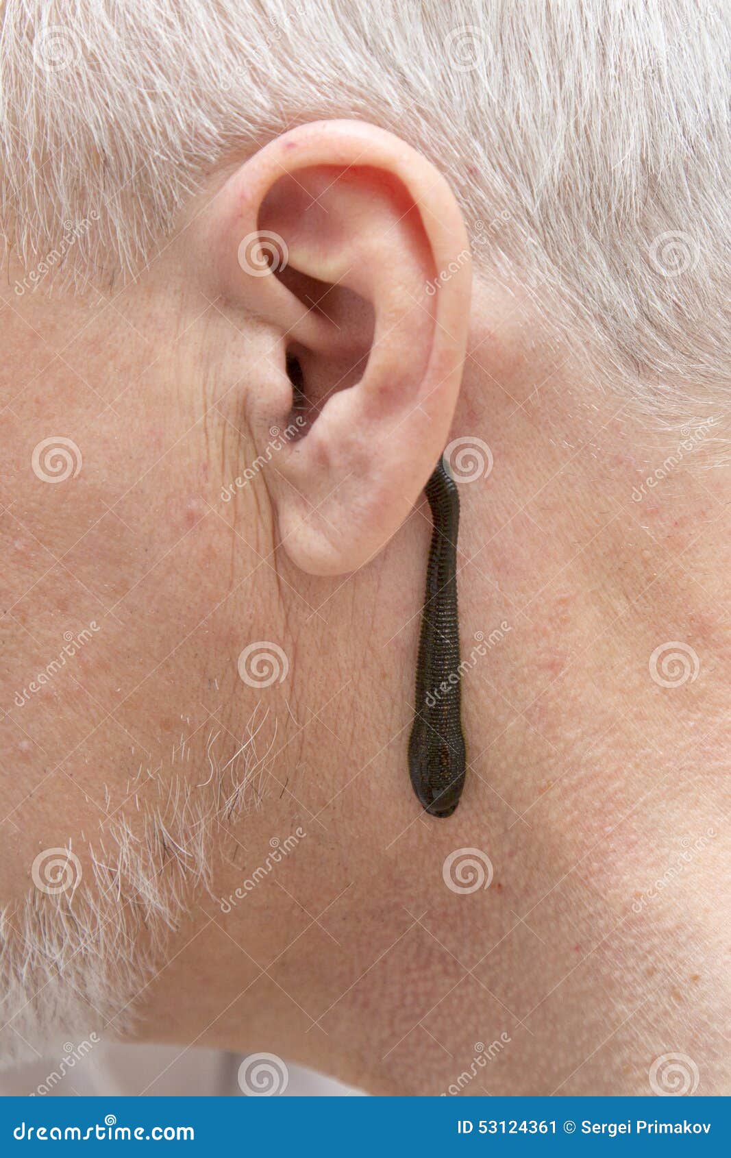 Leech therapy stock image. Image of energy, body, back - 53124361
