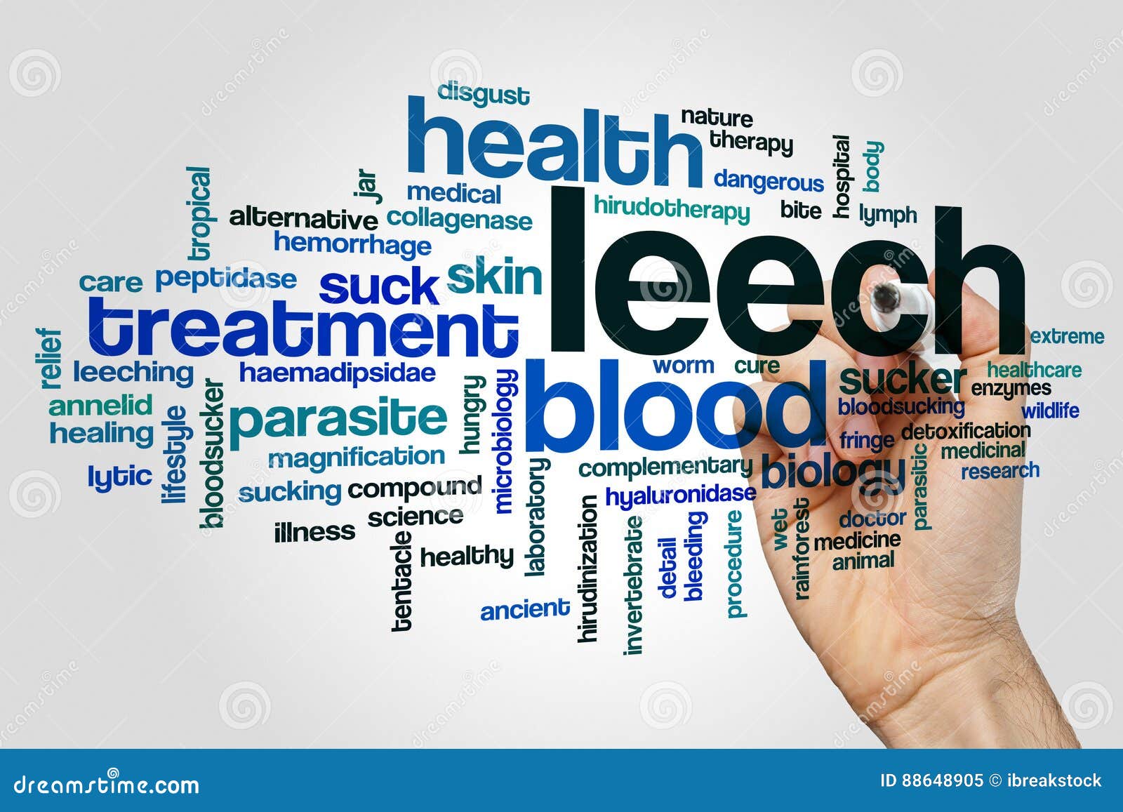 Leech word cloud stock image. Image of annelid, parasitic - 88648905