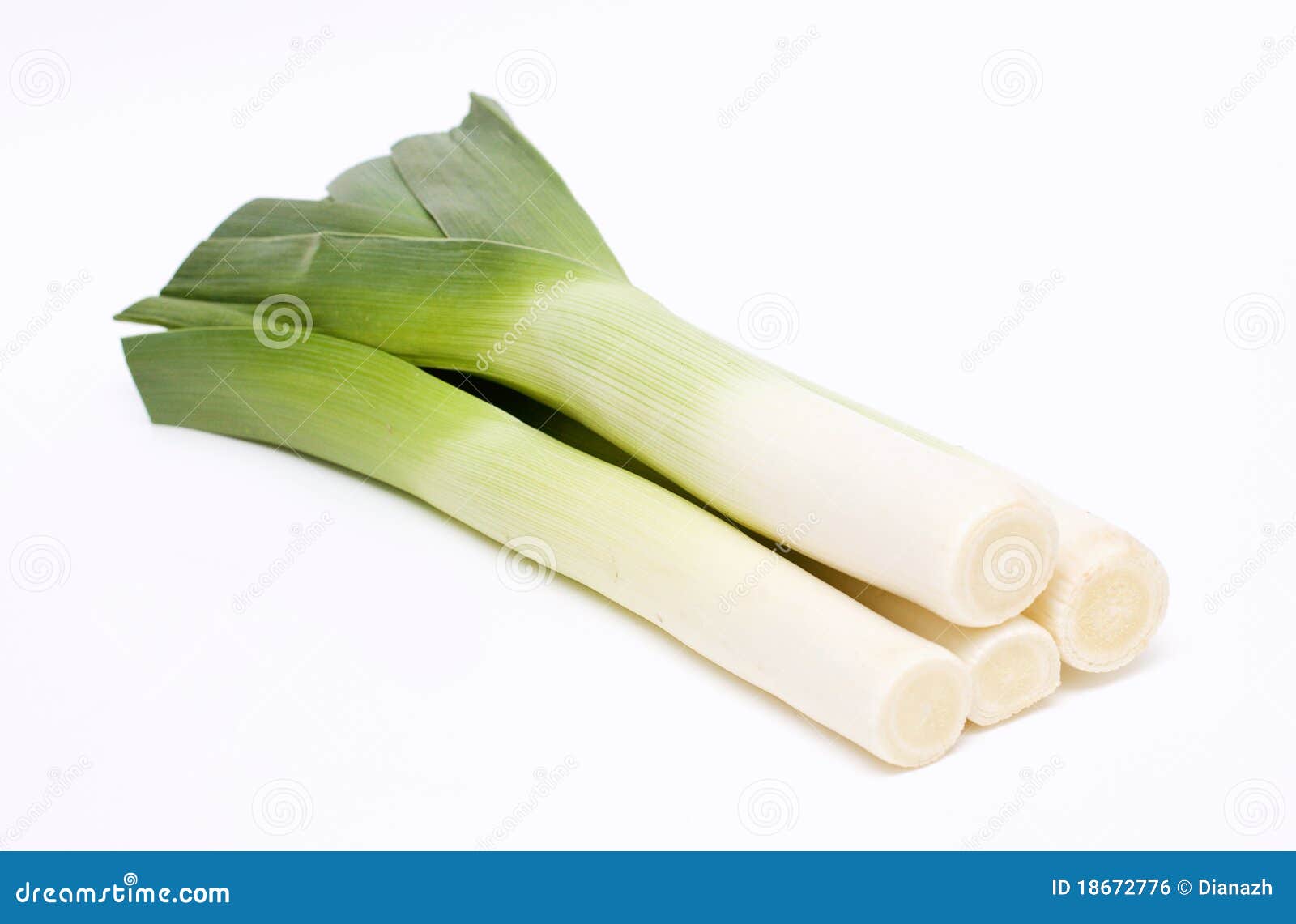 Leek stock photo. Image of nutritious, food, leek, life - 18672776