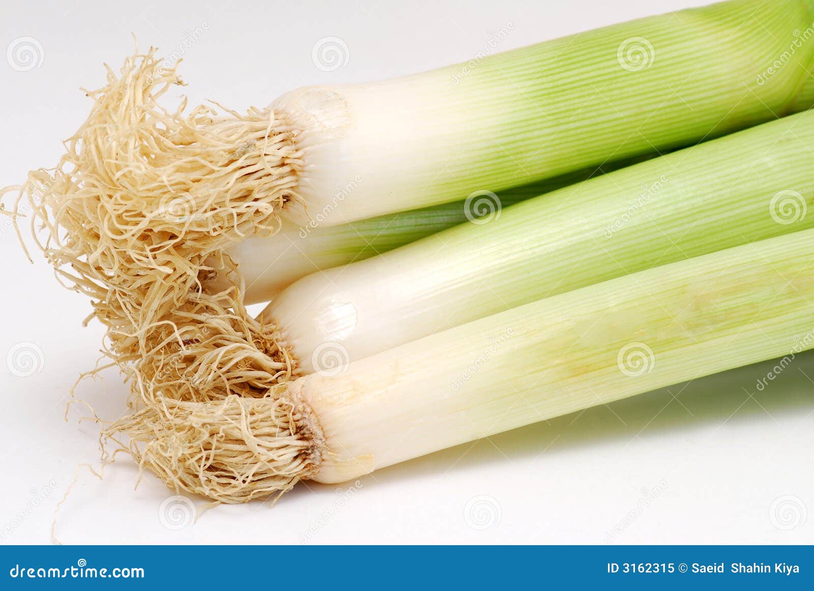 Leek stock image. Image of leaf, stalk, leaves, cooking - 3162315
