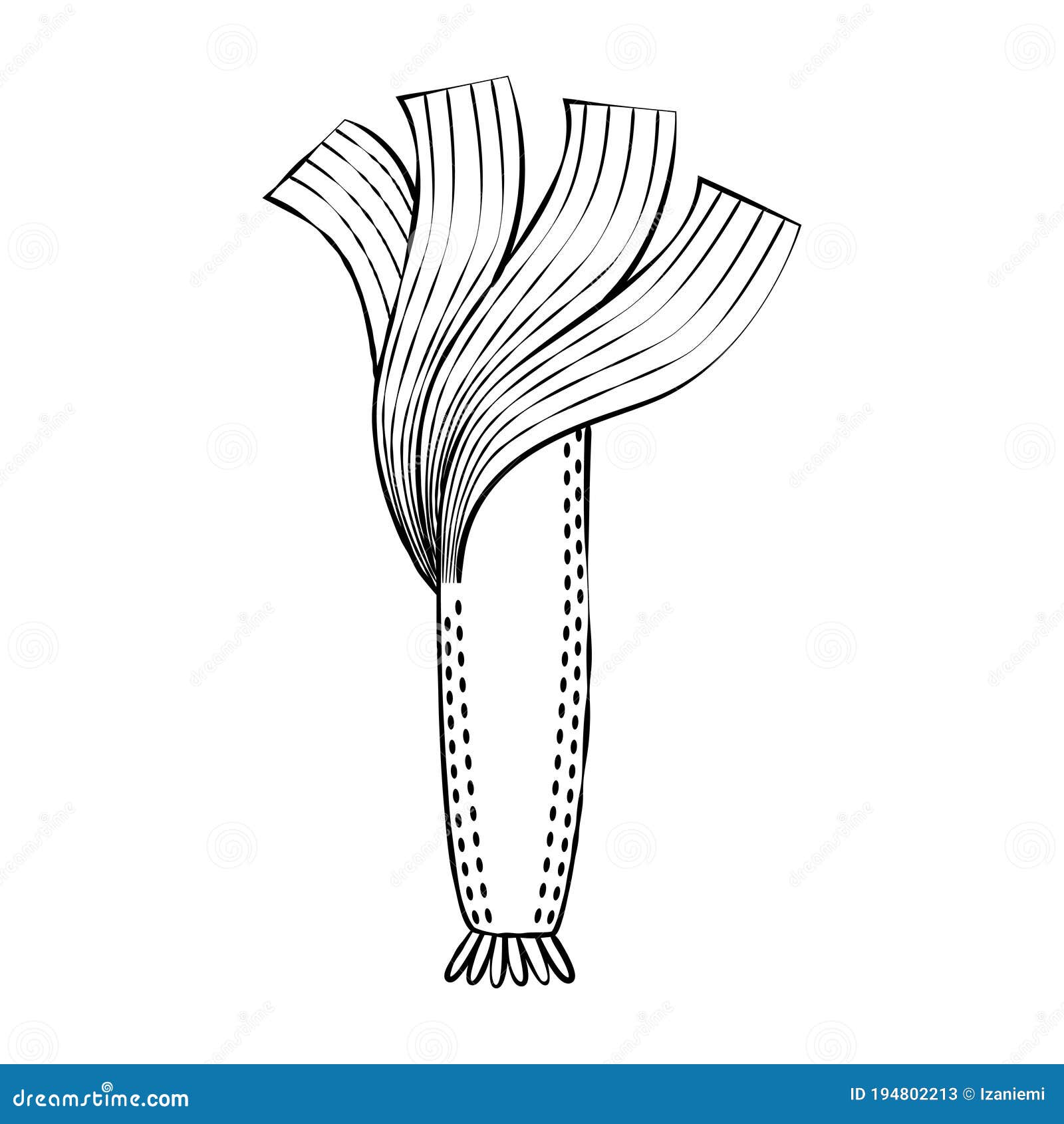 Leek - Art Line Drawing, Vector Illustration. Stock Vector ...