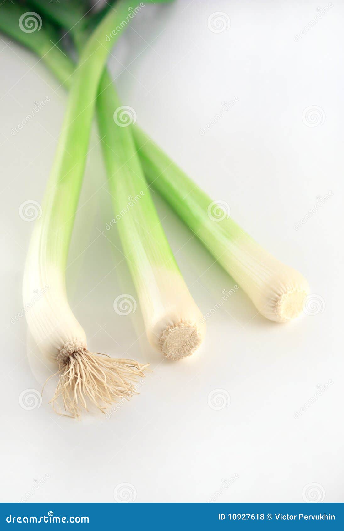 Leek a bunch stock photo. Image of edible, garnish, kitchen - 10927618