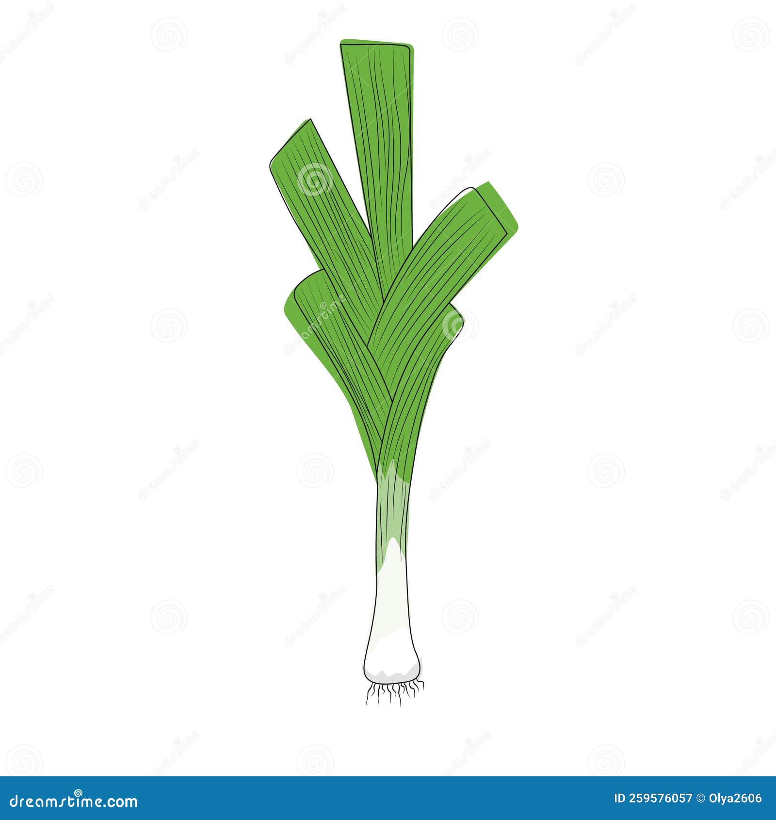 Leek in cartoon style stock vector. Illustration of plant - 259576057