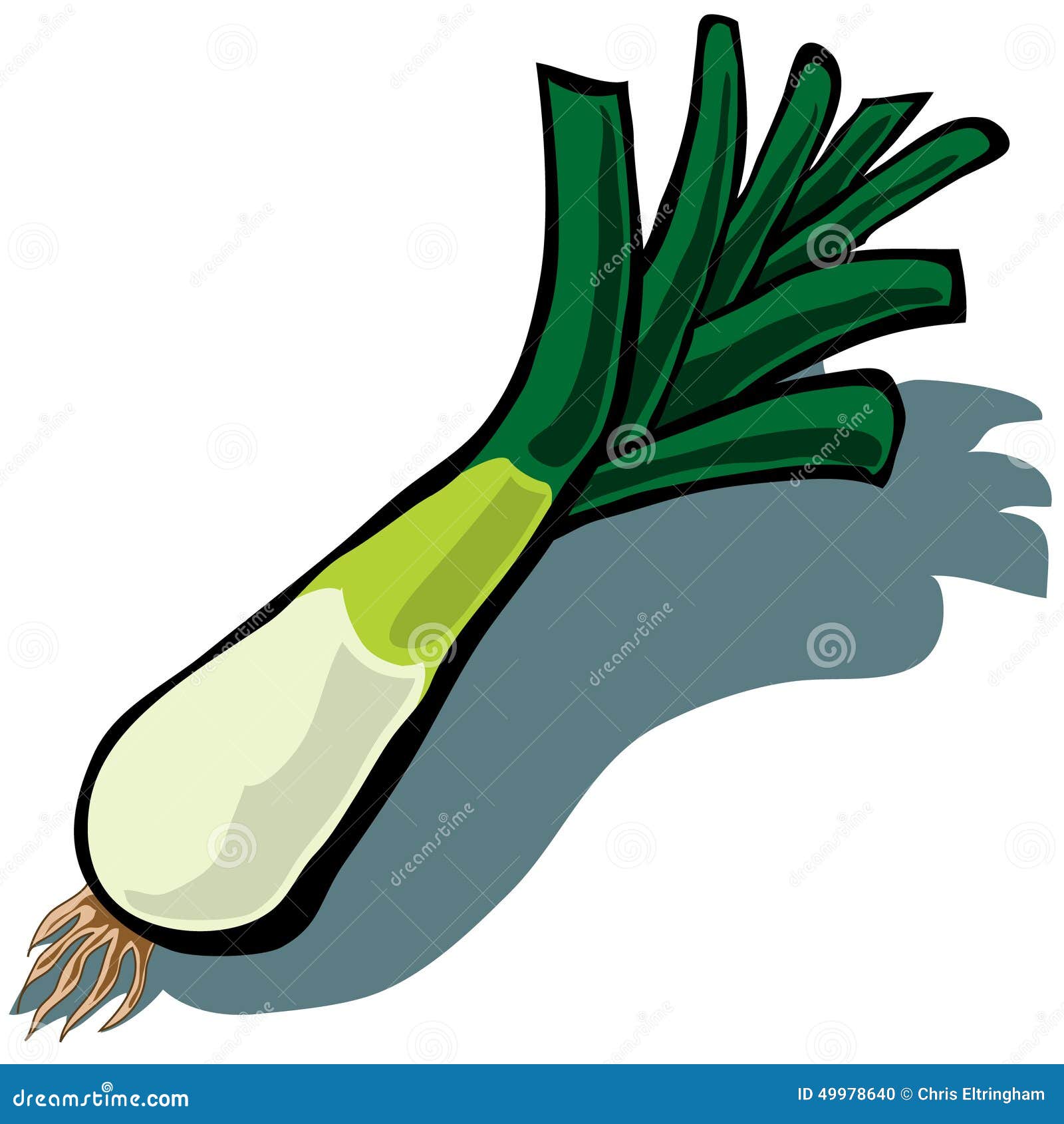 Leek stock vector. Illustration of leek, happy, background - 49978640