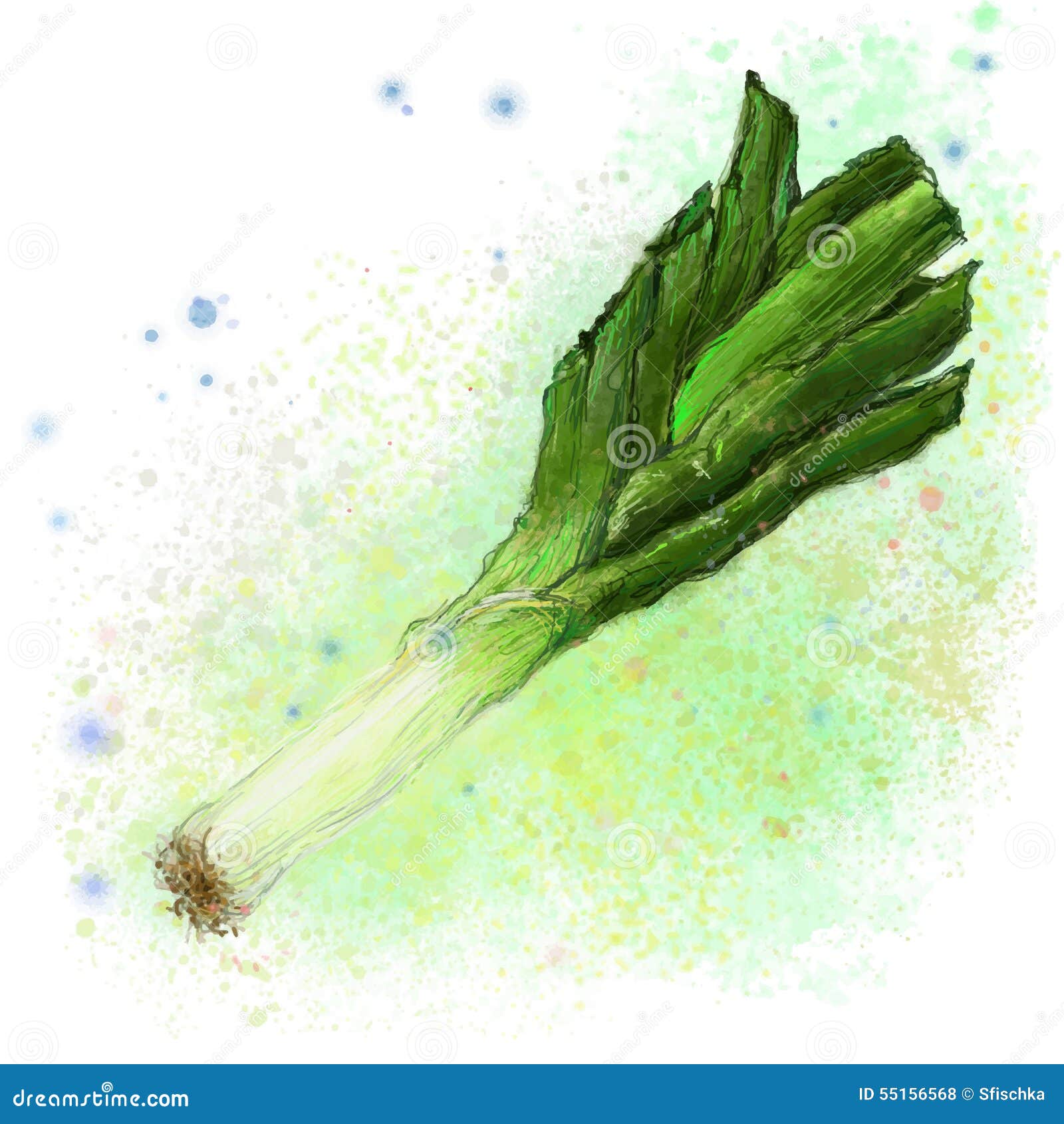 The leek drawn with paints stock vector. Illustration of green - 55156568