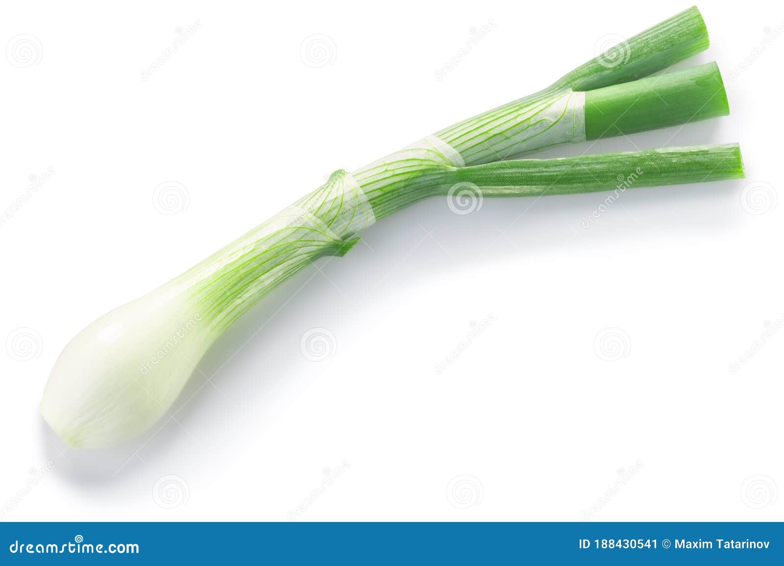 Leek or Green Spring Onion Stem with Bulb Isolated W Clipping Paths ...