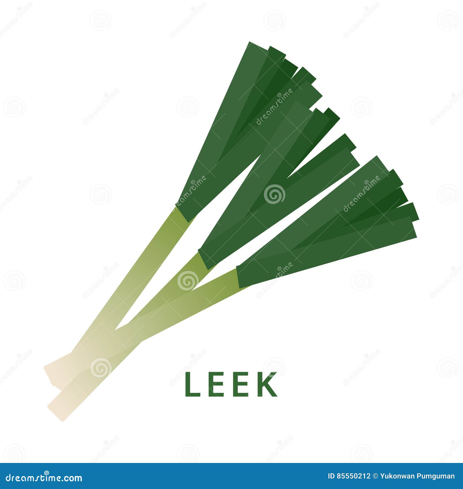 Leek Illustration, Isolated Vegetable Vector Stock Vector ...