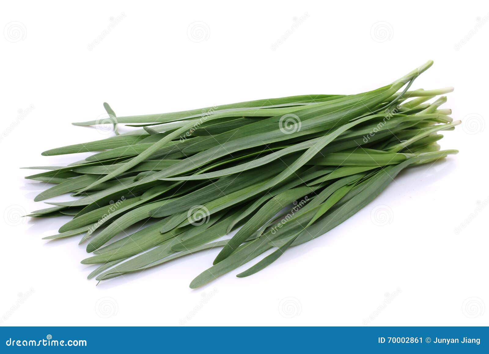Leek leaves stock image. Image of bundle, green, leek - 70002861