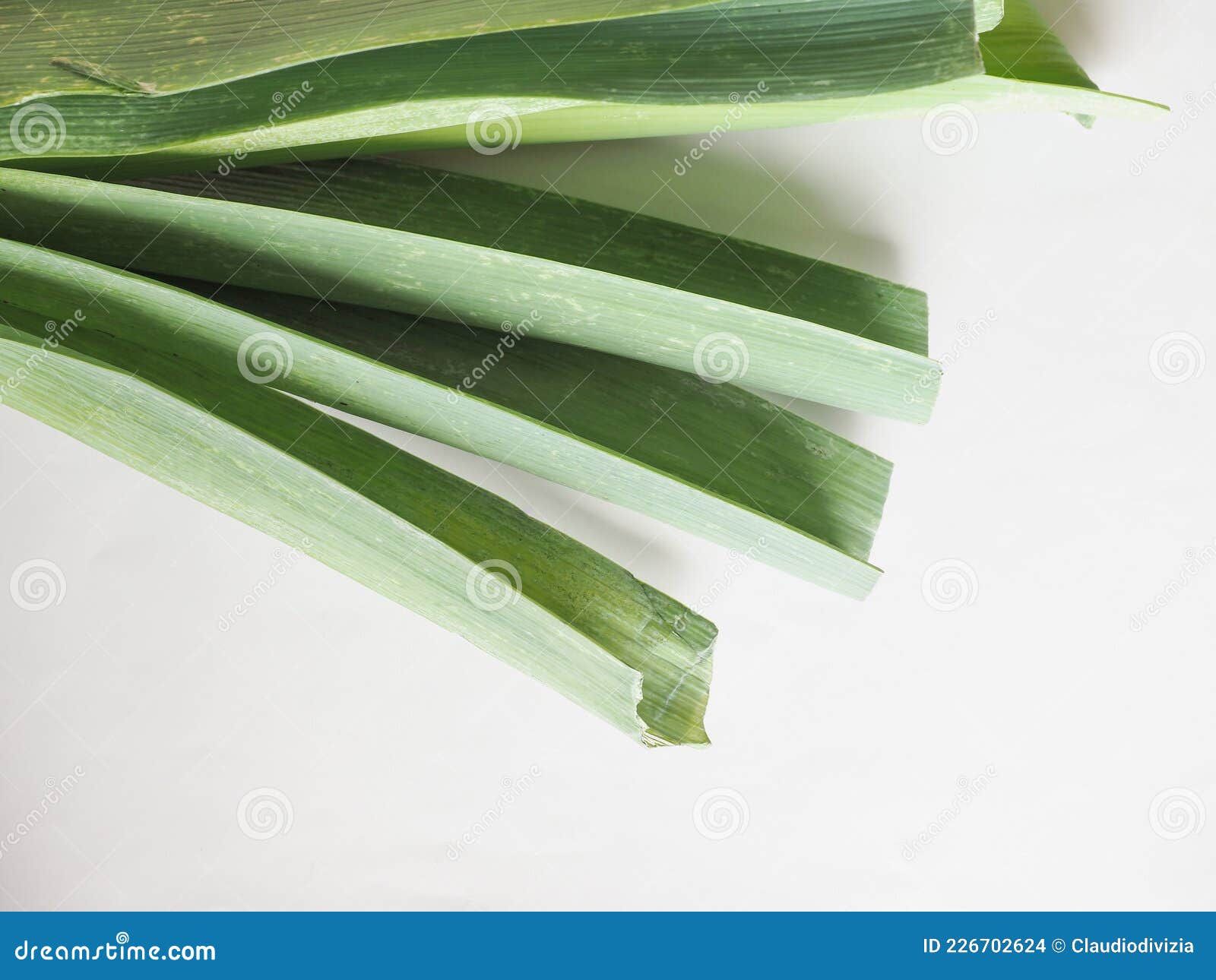 Leek plant leaves stock photo. Image of veganism, copy - 226702624