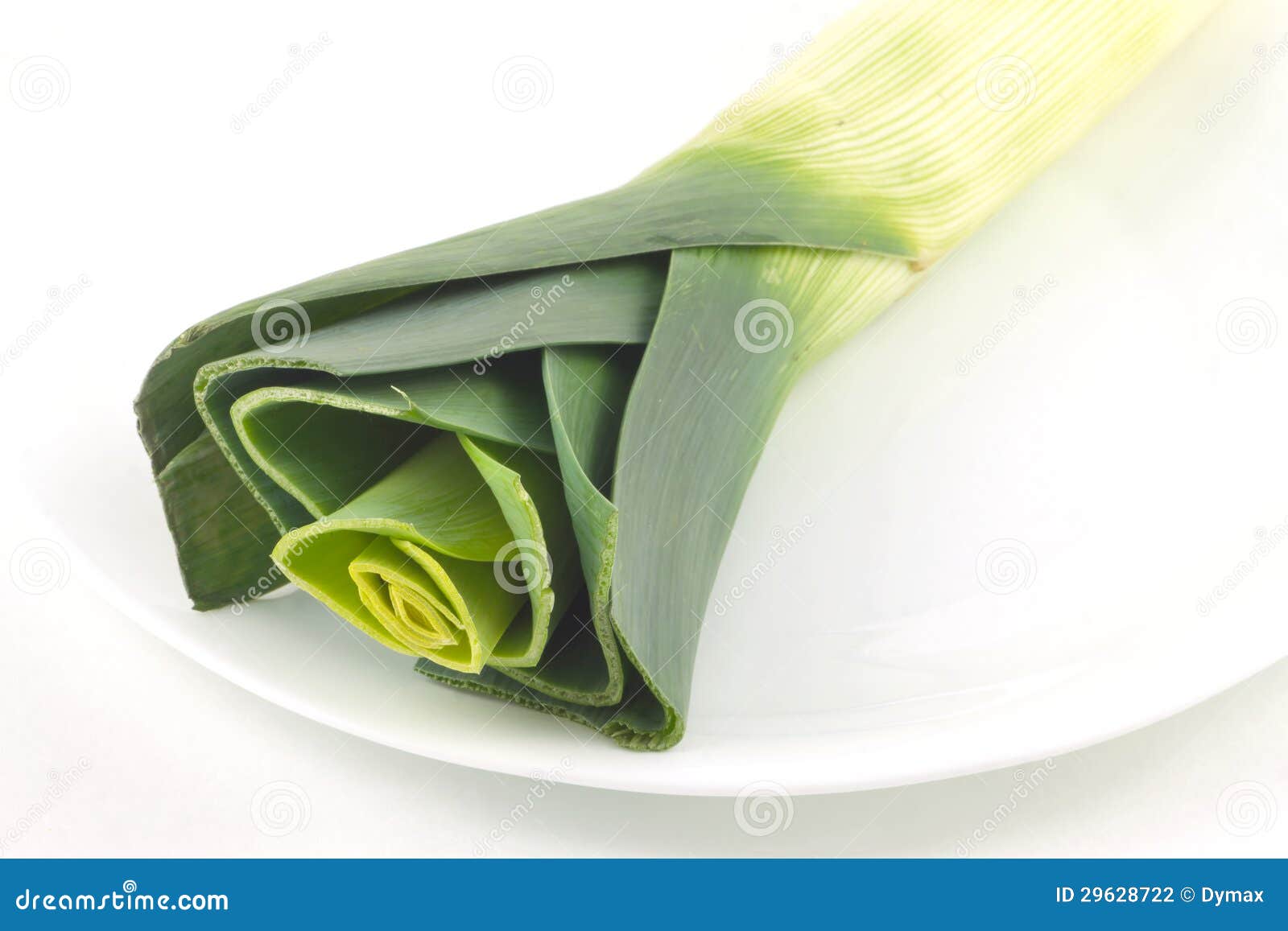 Leek on a Plate Isolated on White Stock Photo - Image of leek, still ...