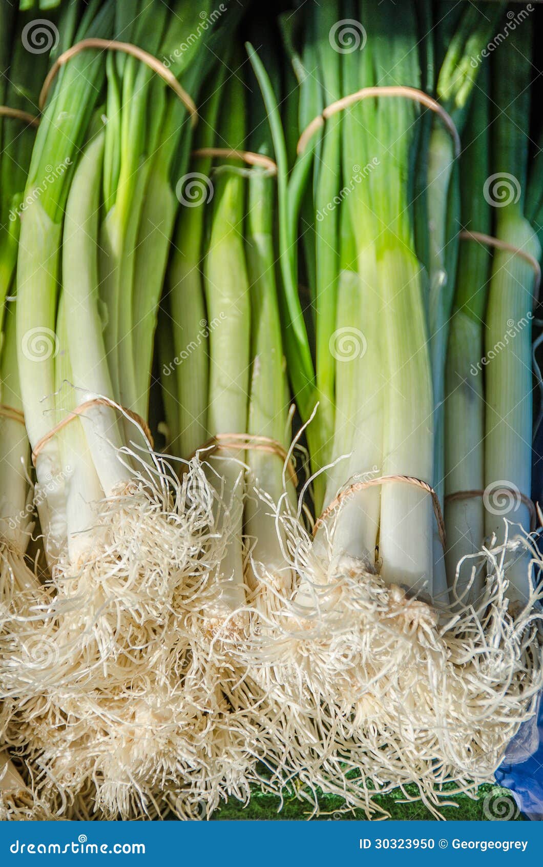 Leek for sale 2 stock photo. Image of shopping, food - 30323950