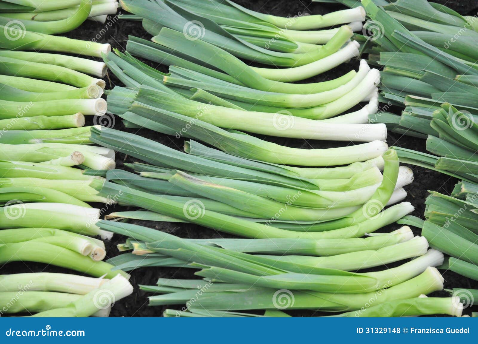 Leek stock photo. Image of meal, market, leak, garlic - 31329148