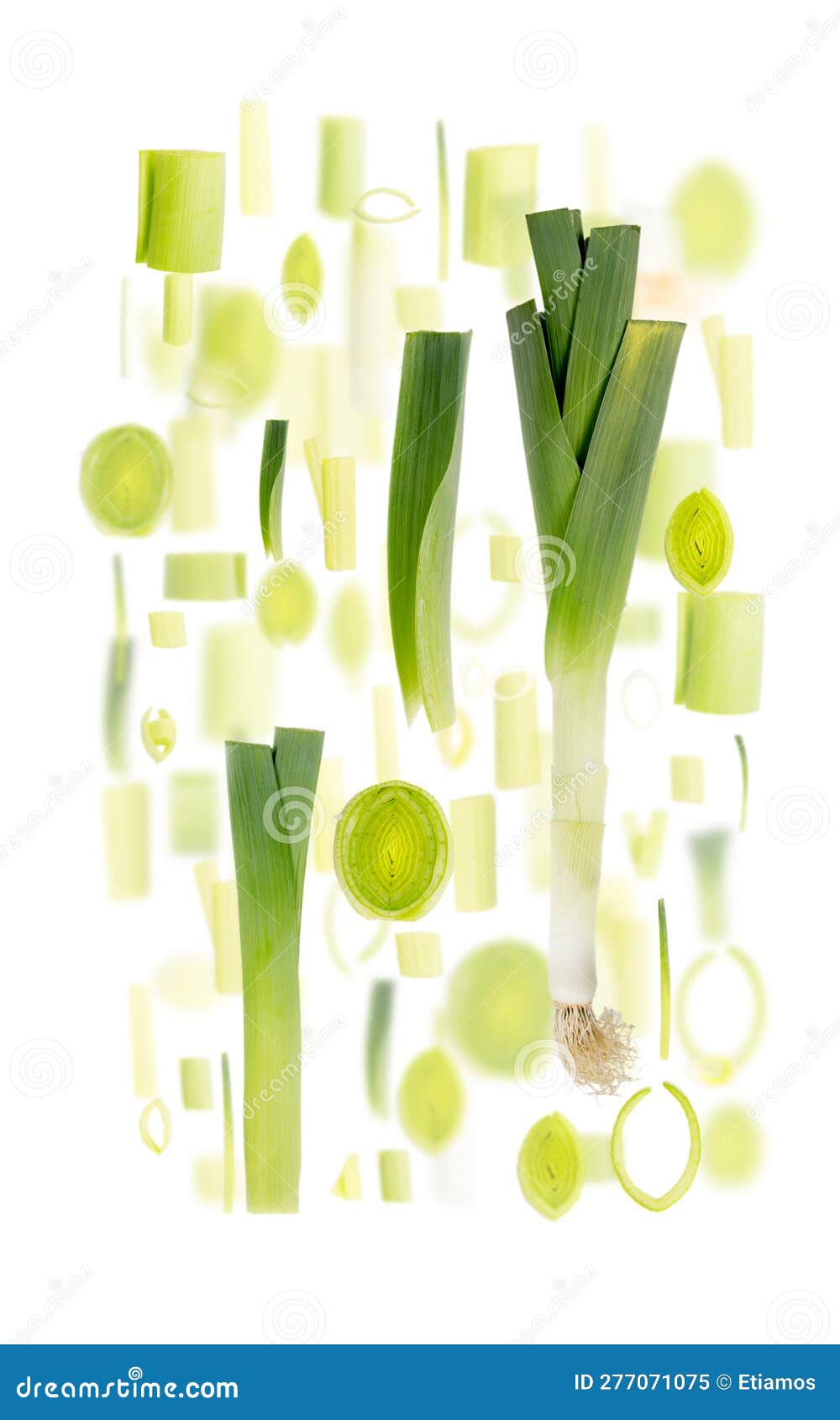 Leek Slice and Leaf Abstract Stock Image - Image of abstract, closeup ...