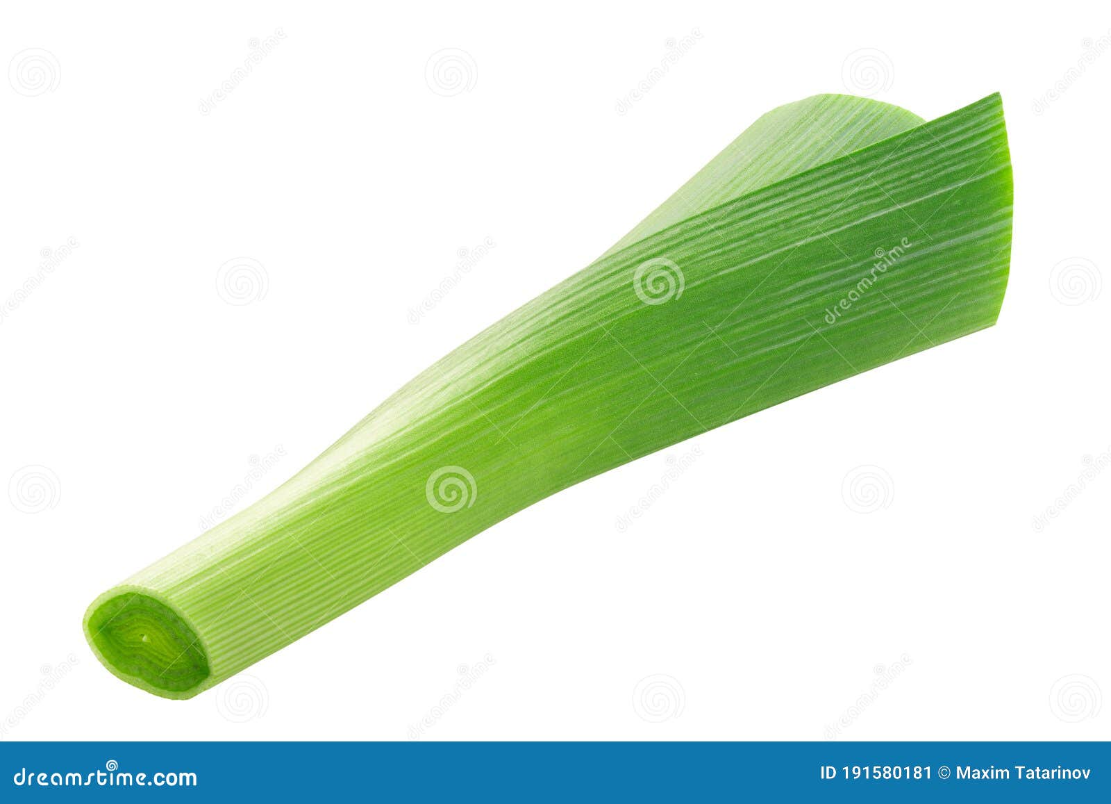 Leek, Spring Green Onion Stem Isolated Stock Image - Image of food ...