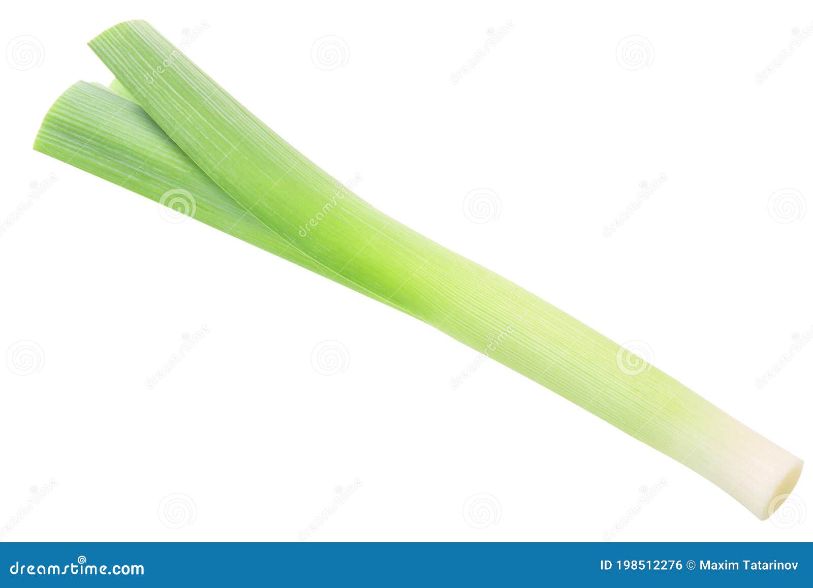 Leek, Spring Green Onion Stem Isolated, Top View Stock Photo - Image of ...