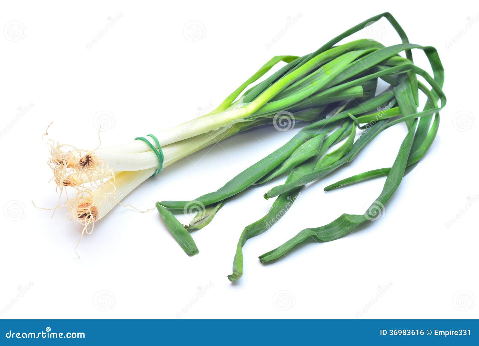 Leek stock photo. Image of ingredient, nutrition, leek - 36983616