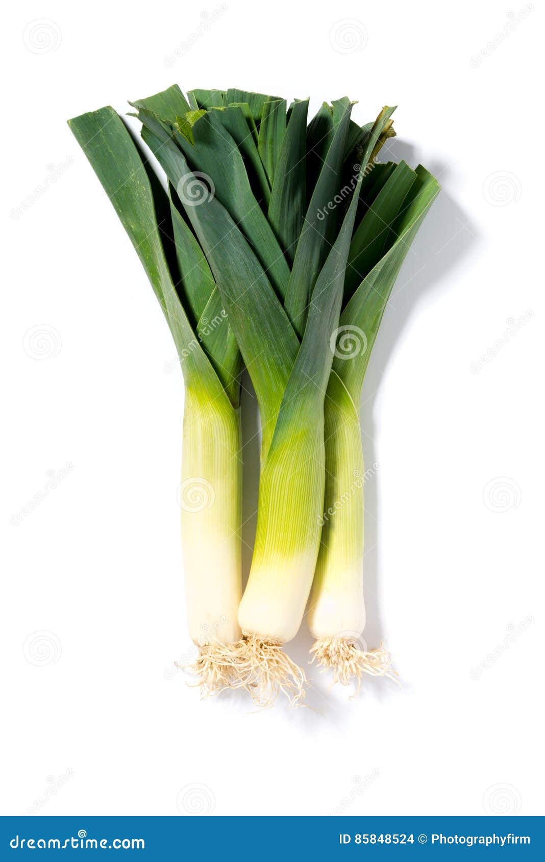 Leek Stalks on a White Background Stock Photo - Image of onion, food ...