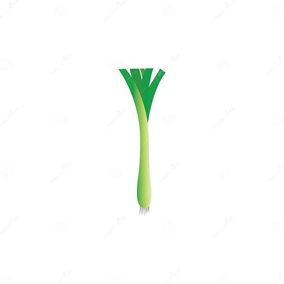 Leek Vegetable Icon Template Stock Vector - Illustration of plant ...