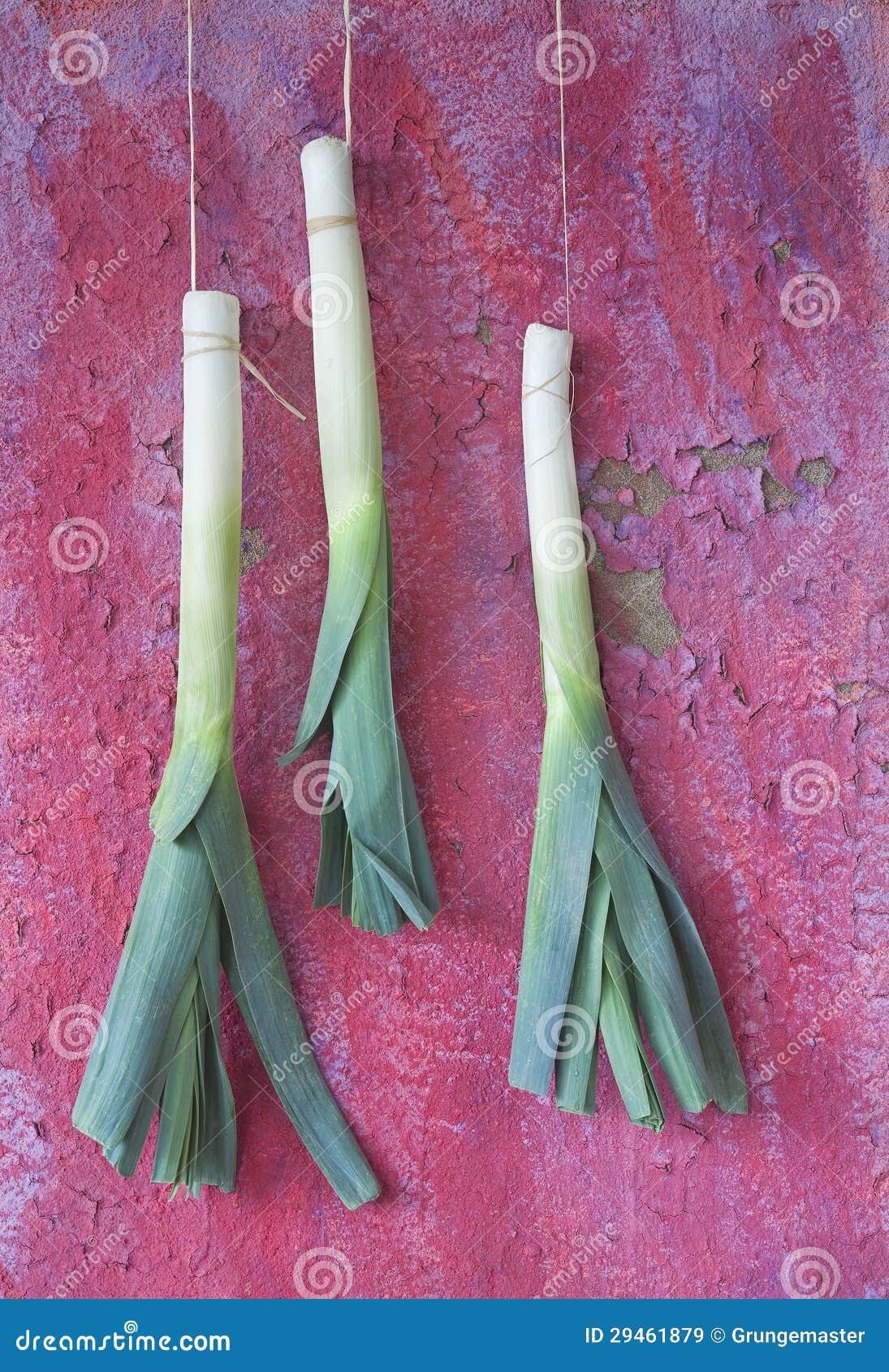 Leek, vegetables stock image. Image of sell, garden, pink - 29461879