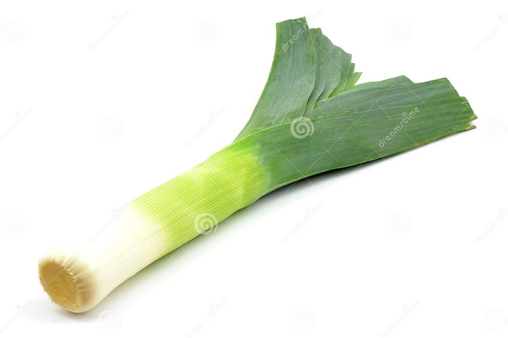 Leek stock image. Image of white, leek, healthy, ingredient - 312017263