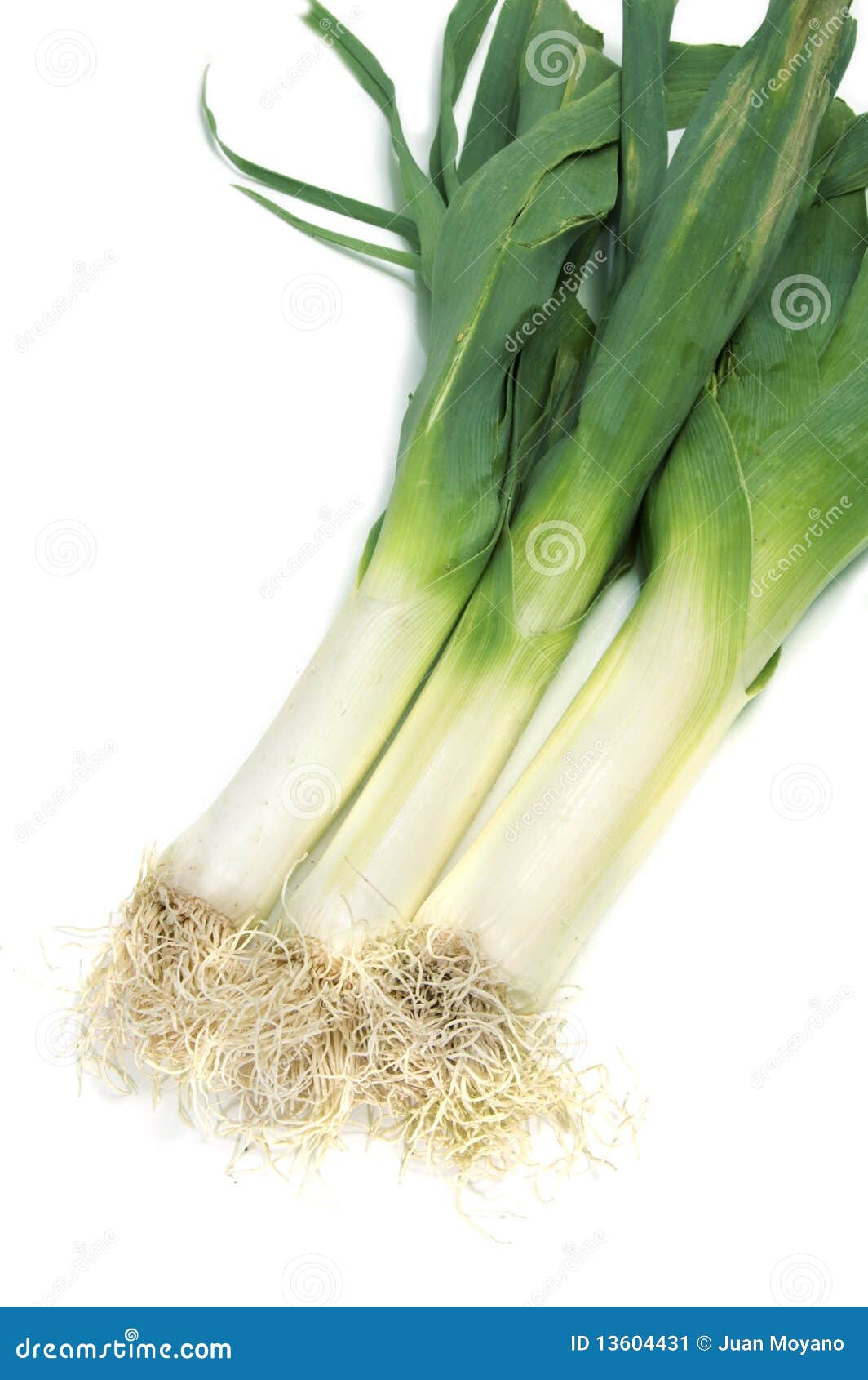 Leeks stock image. Image of produce, background, natural - 13604431