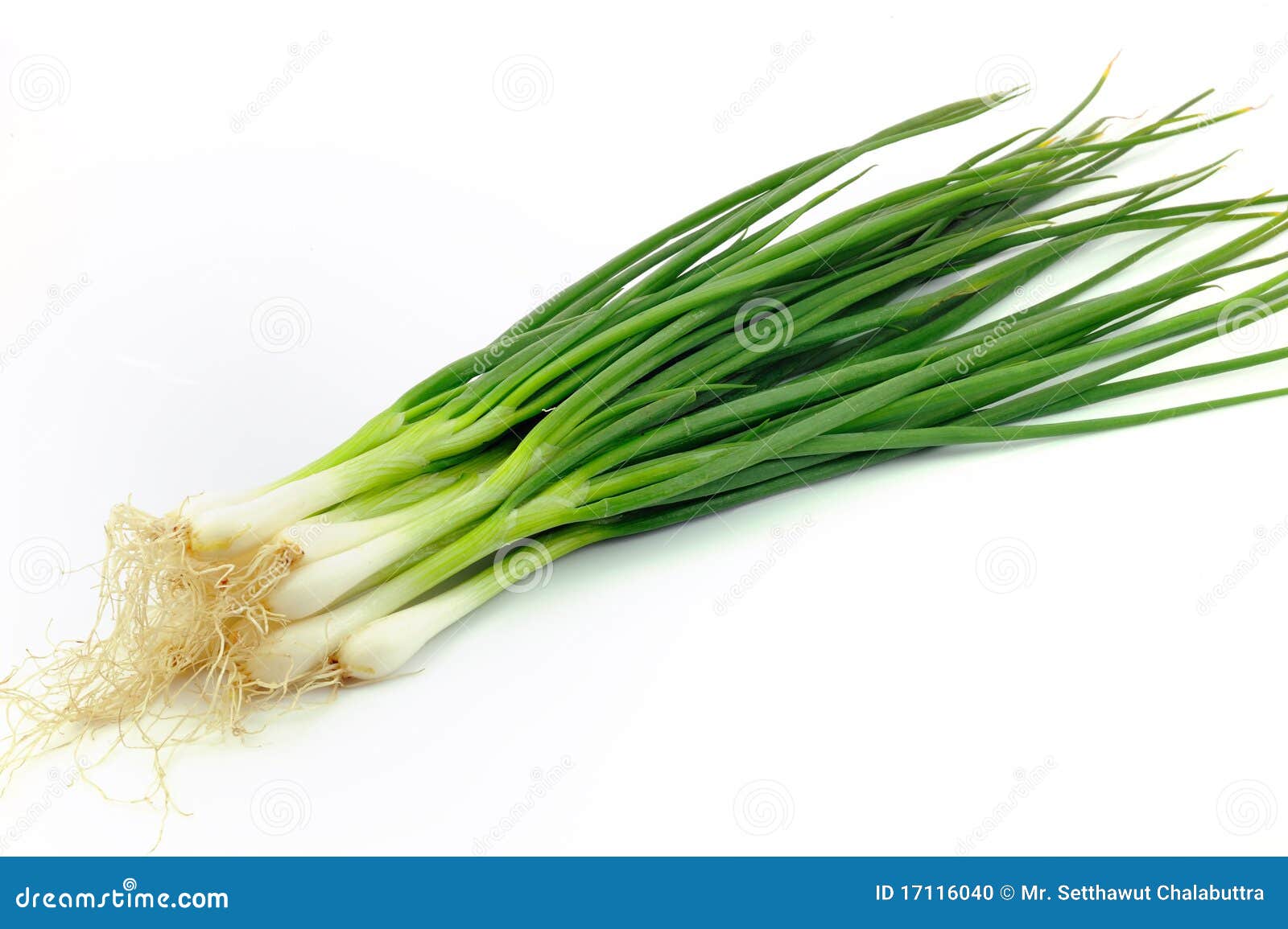 Leeks stock photo. Image of healthy, food, root, freshness - 17116040