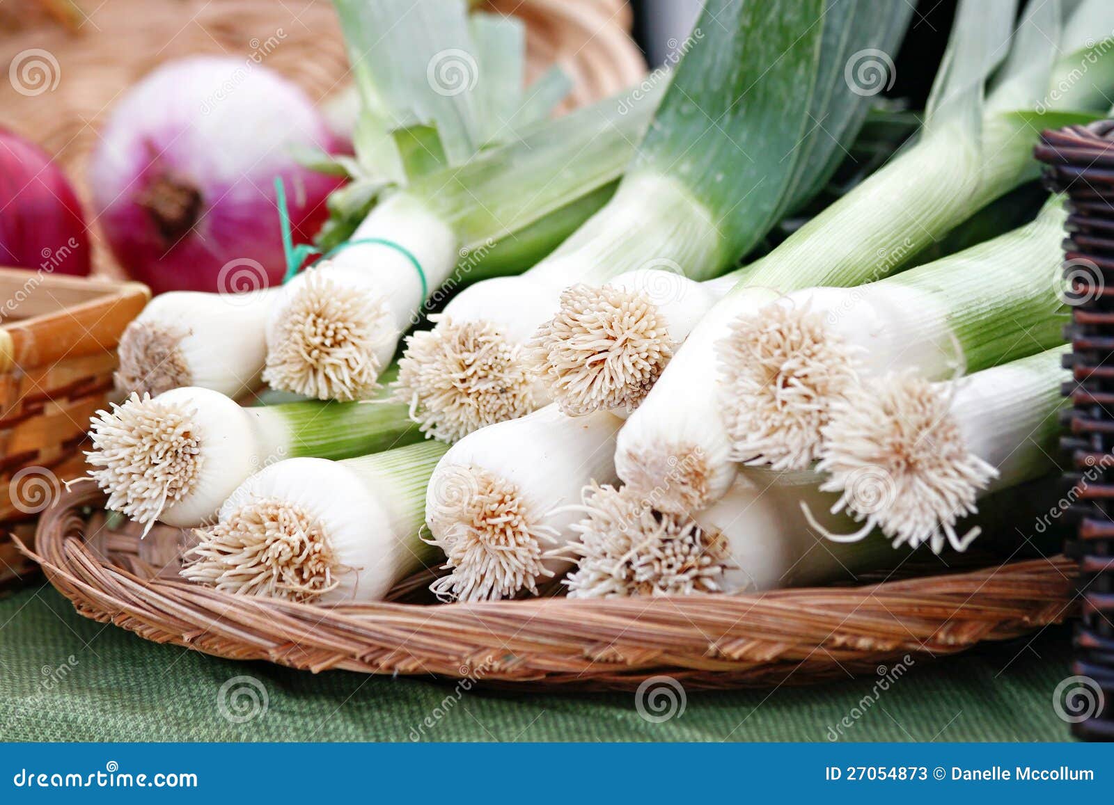 Leeks stock image. Image of leeks, farmers, ingredient - 27054873