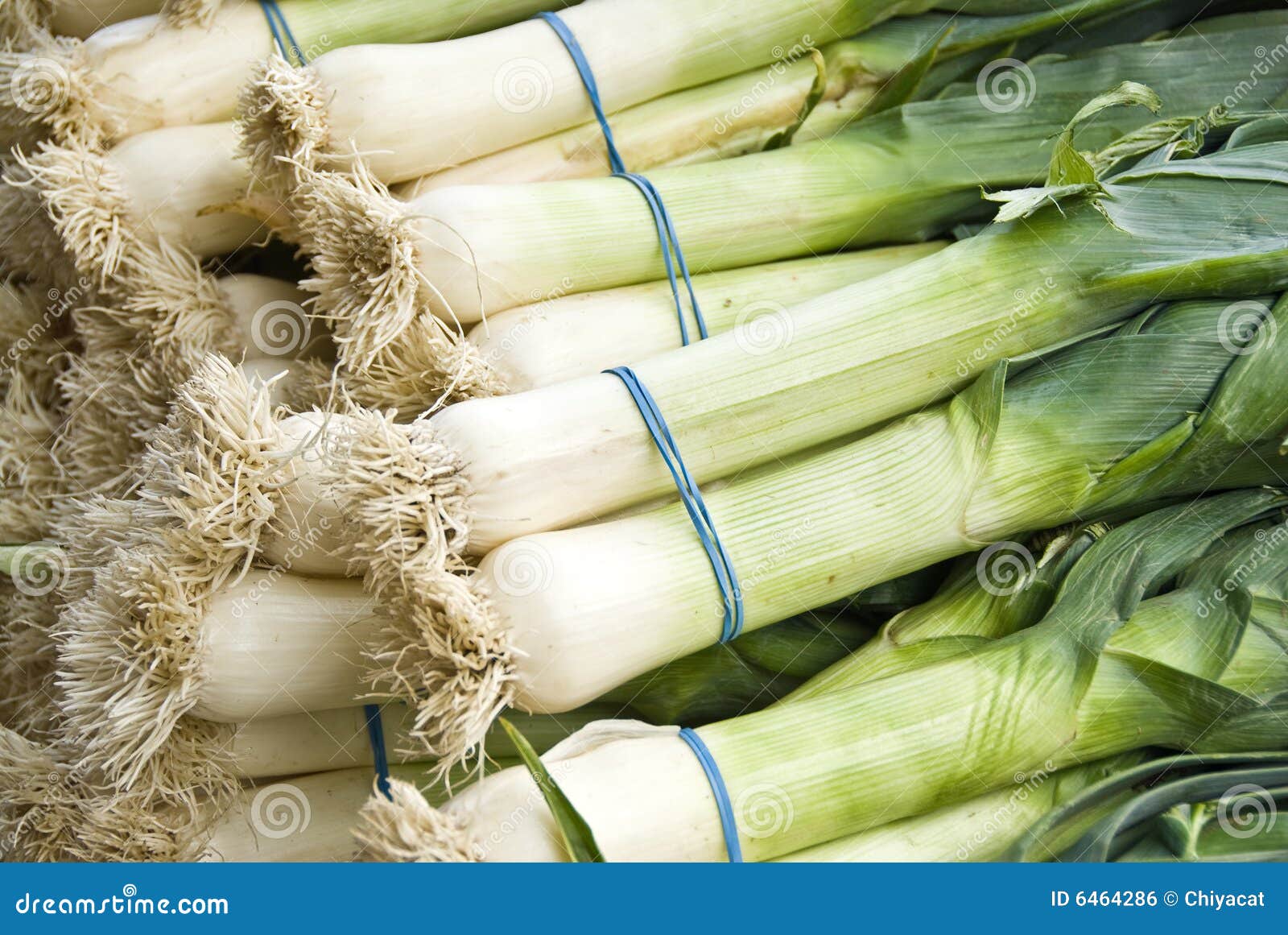 Leeks stock photo. Image of fall, pile, outdoor, market - 6464286
