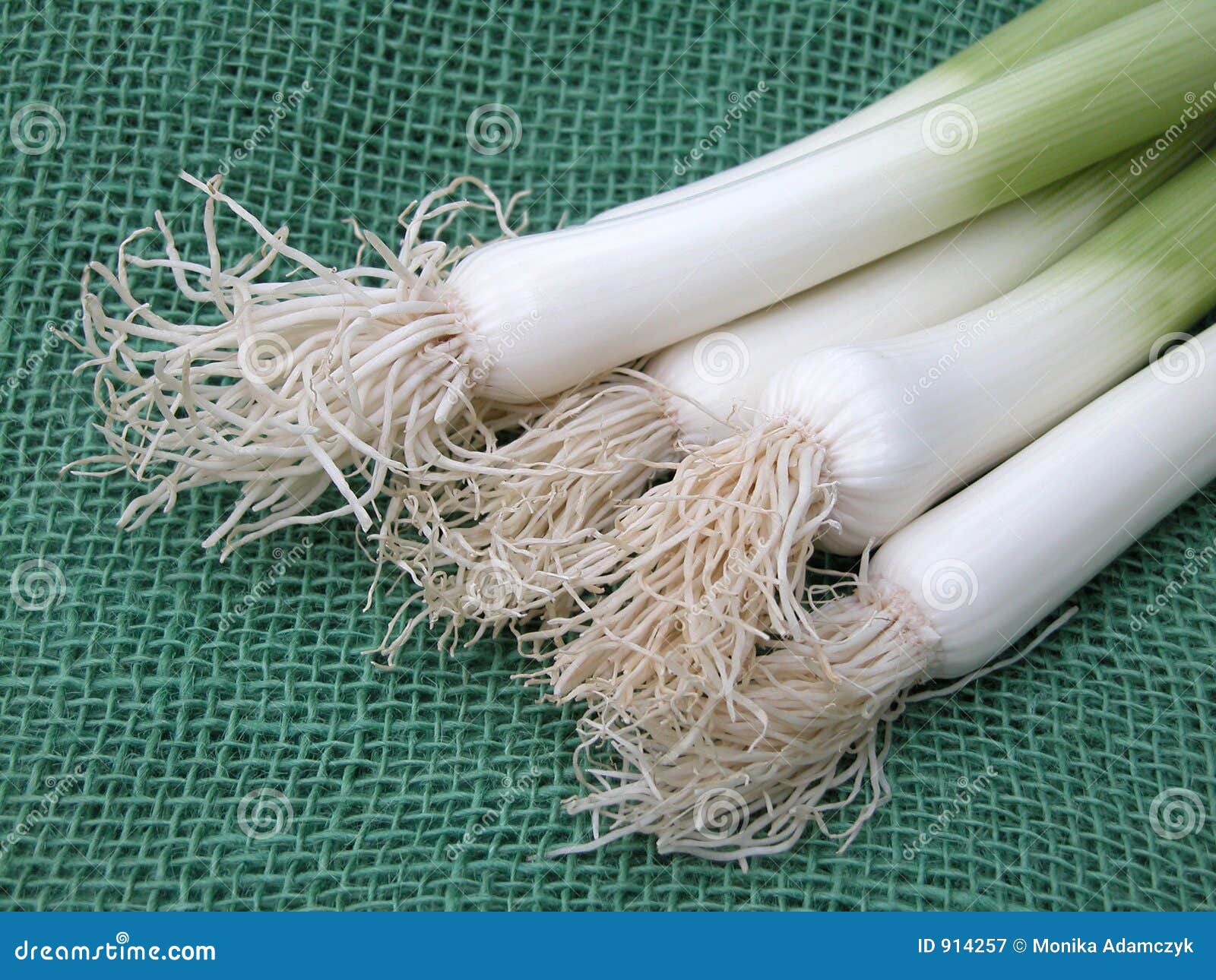 Leeks stock image. Image of leek, diet, health, nutrition - 914257