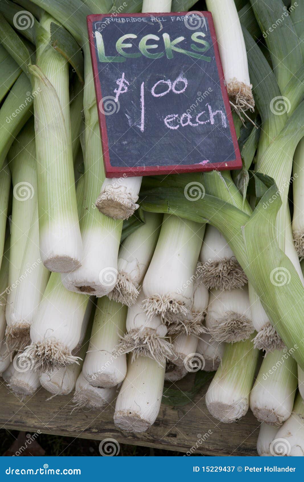Leeks for Sale stock image. Image of farmer, text, food - 15229437