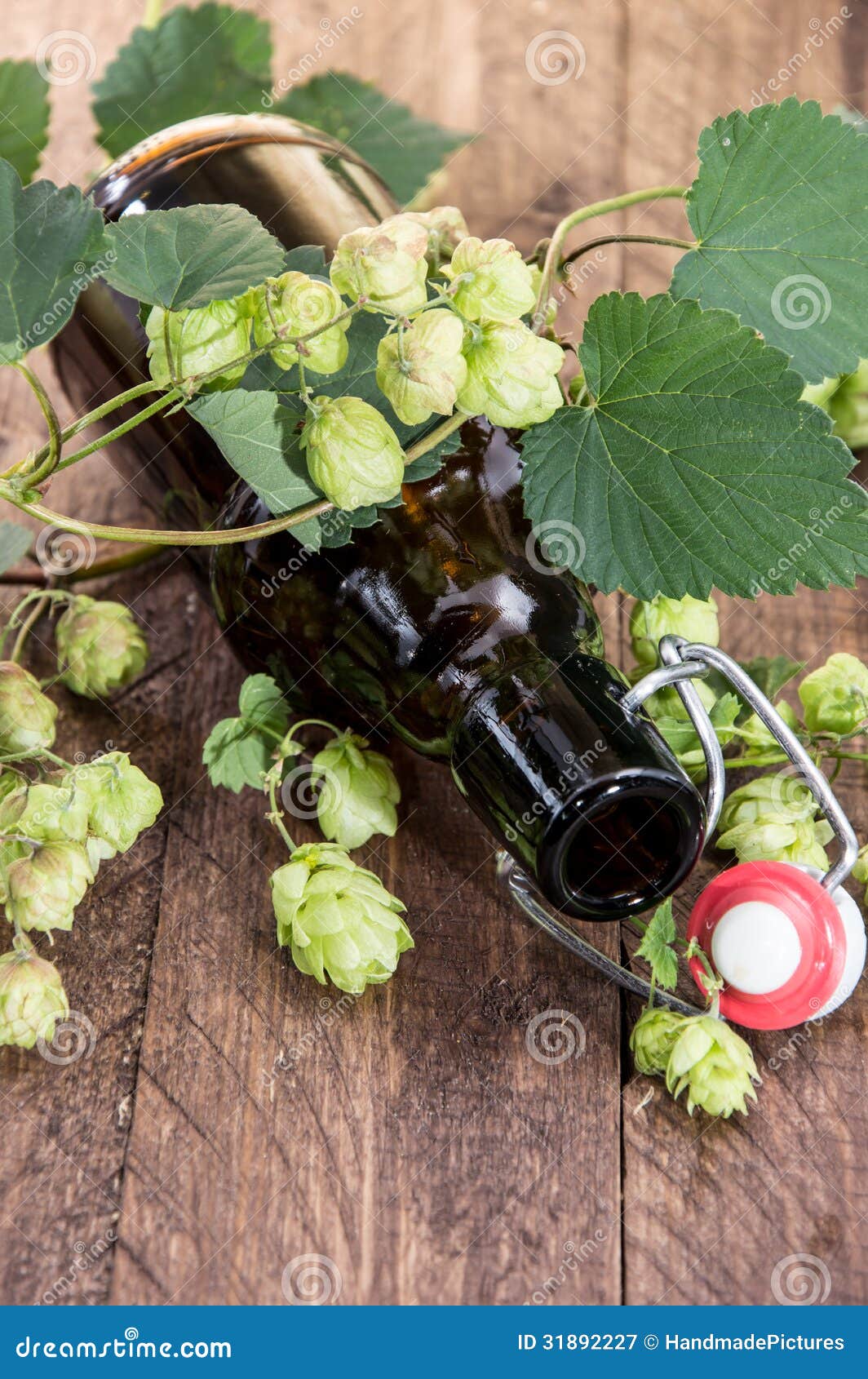 Leere Flasche Bier Mit Hopfen (Makro) Stockbild - Bild von bestandteil ...
