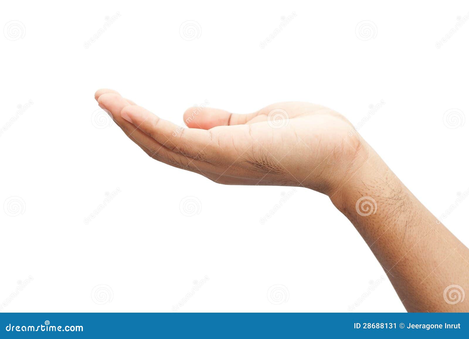 Leeren Sie offene Hand stockbild. Bild von hand, kaukasisch - 28688131