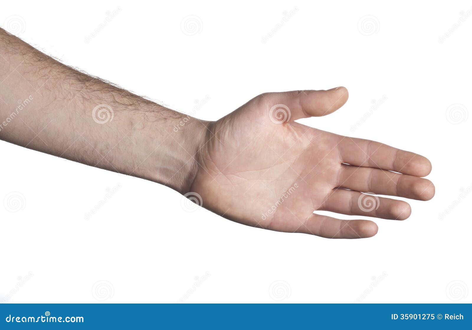 Leeren Sie offene Hand stockbild. Bild von finger, sauber - 35901275