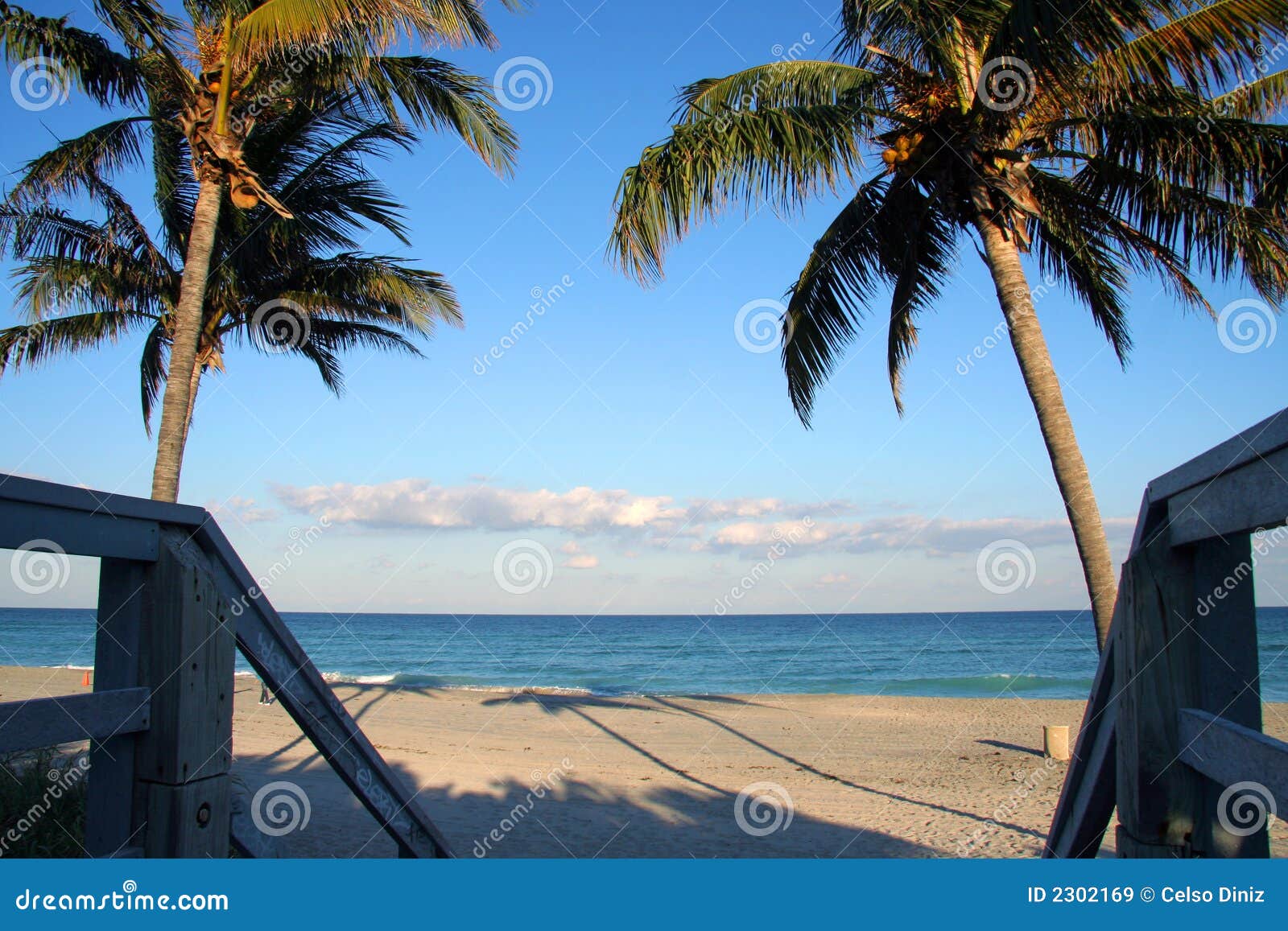 Leerer Strand in Miami stockbild. Bild von ozean, sonne - 2302169