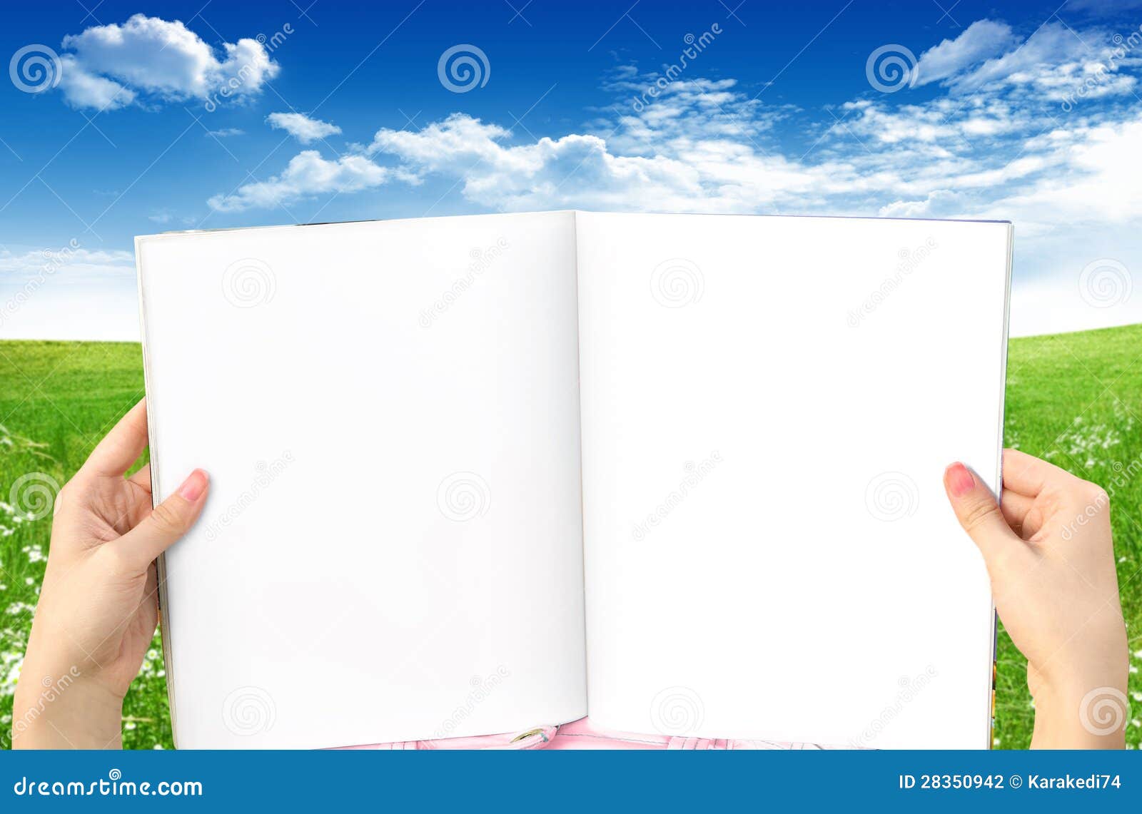 Leeres Buch offen stockfoto. Bild von literarisch, buchhandlung - 28350942