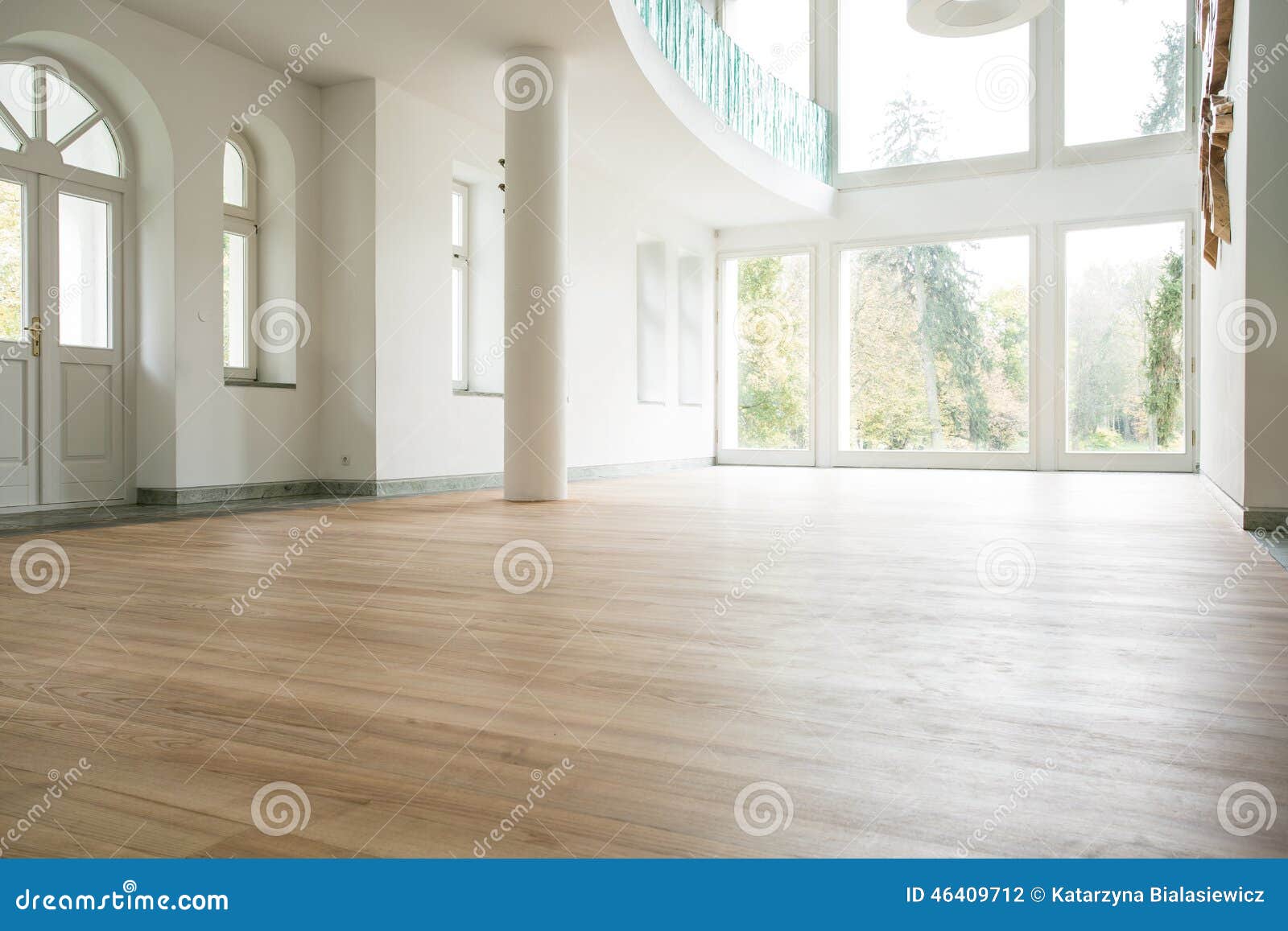 Leeres Wohnzimmer stockfoto. Bild von zeitgenössisch - 46409712