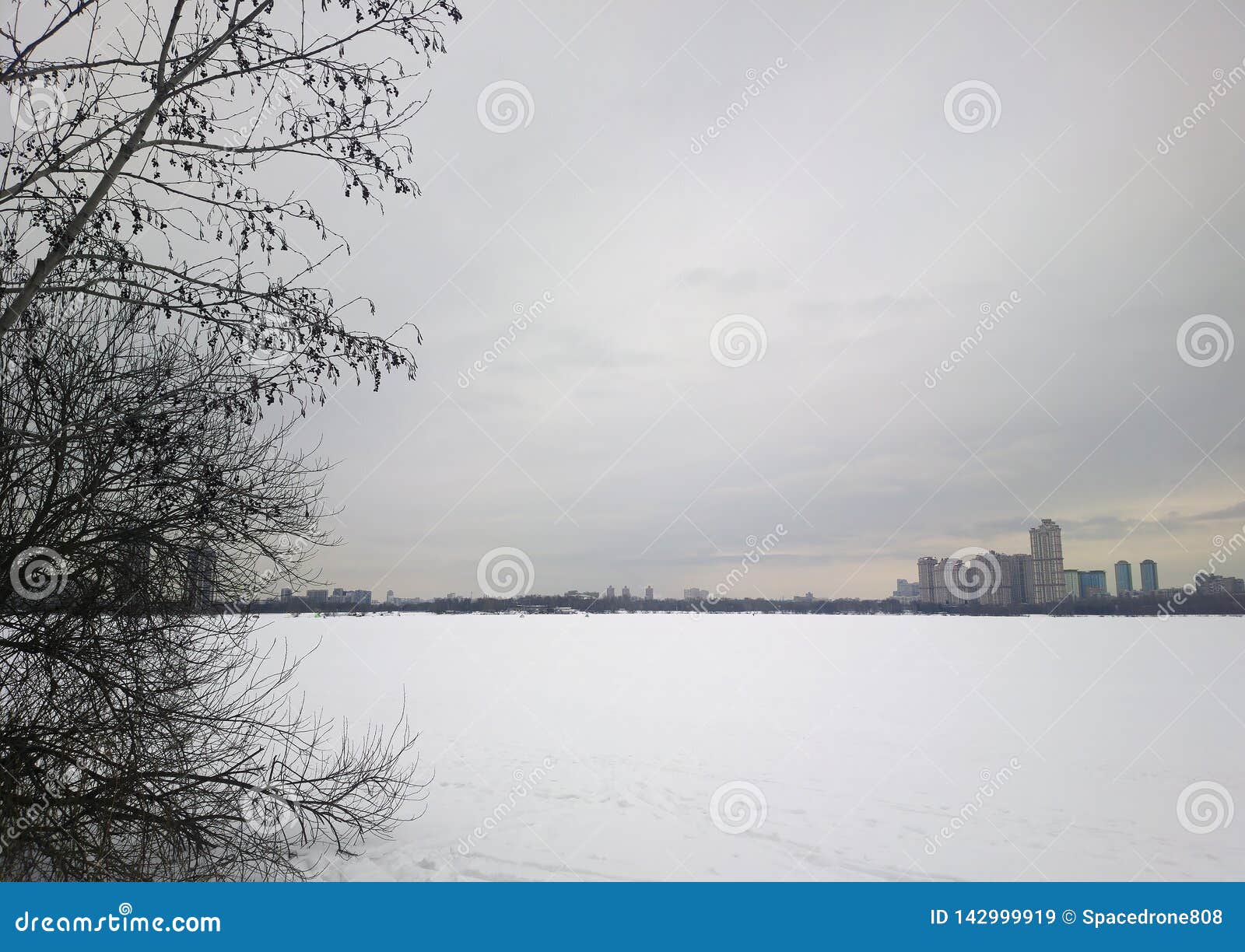 Left Aligned Tree on City Background Stock Image - Image of dramatic ...