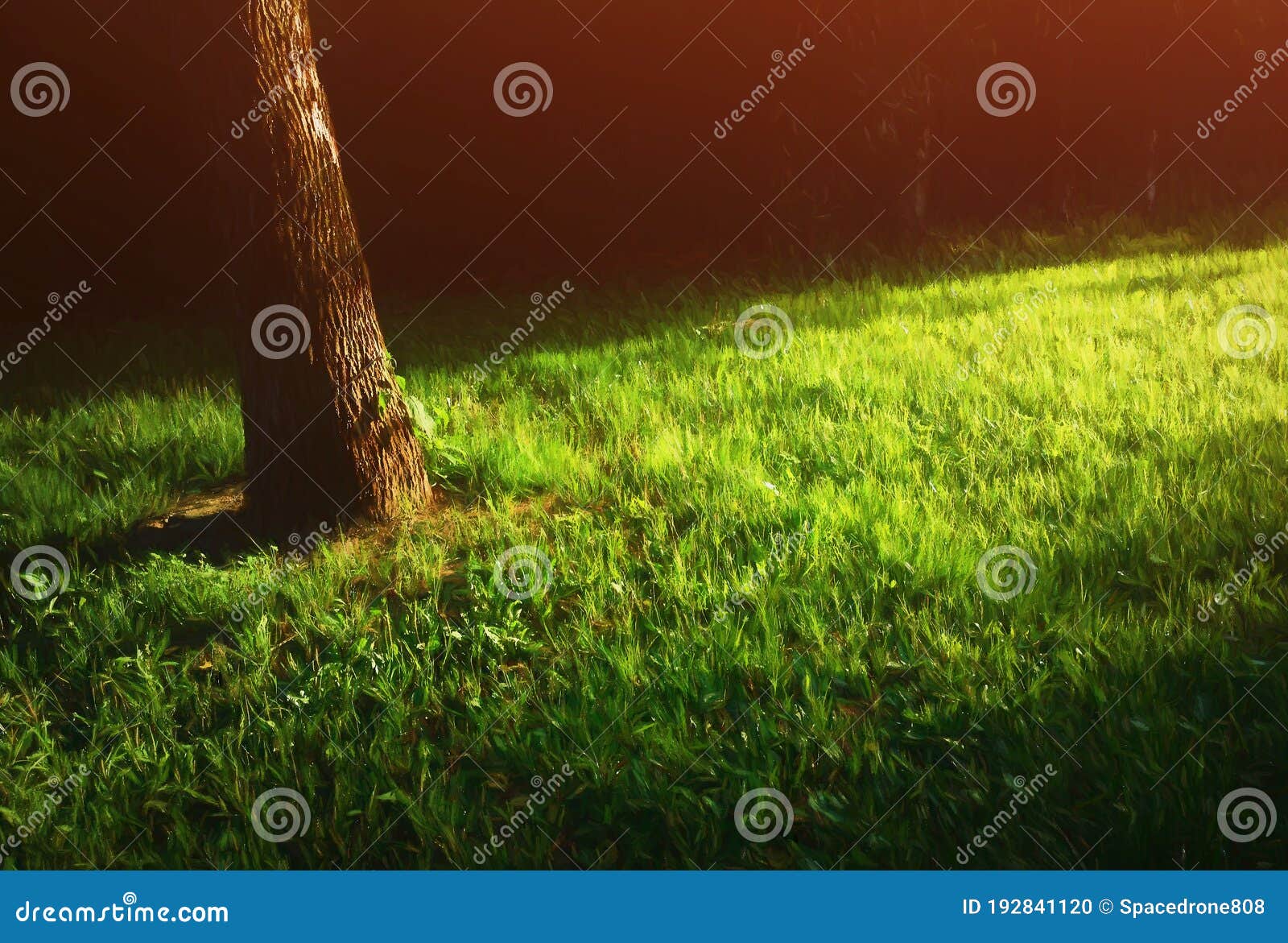Left Aligned Tree with Light Leak Illustration Stock Illustration ...