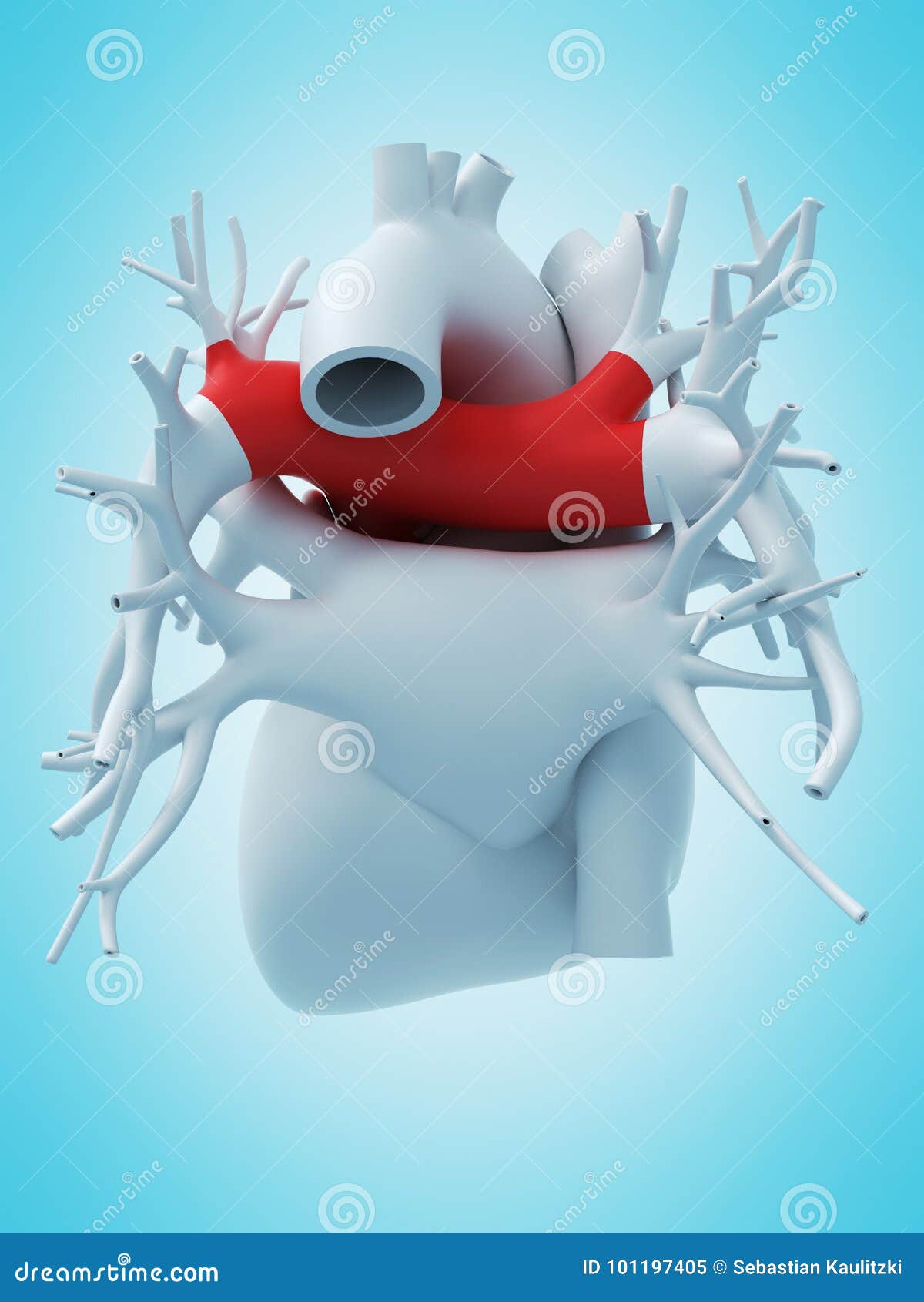 The Left Atrium Royalty-Free Cartoon | CartoonDealer.com #157581686