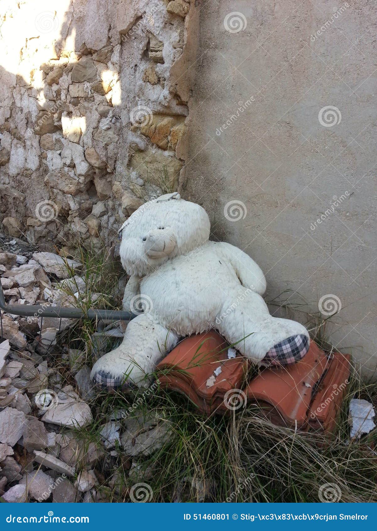 Left behind stock image. Image of teddy, lost, friends - 51460801