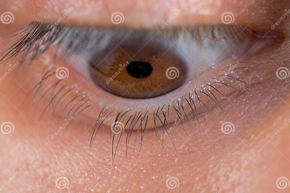 Left eye looking down stock image. Image of eyelash, brown - 25797797