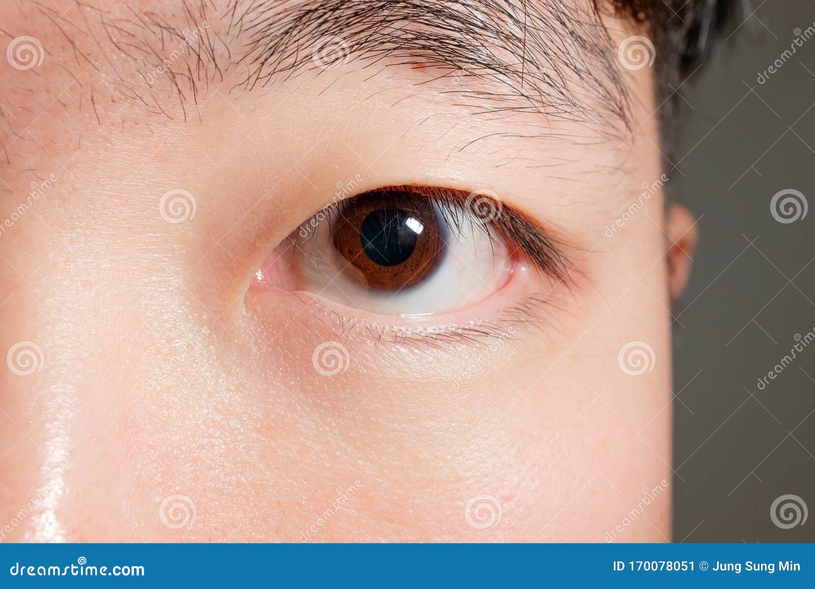 People left eye close-up stock image. Image of close - 170078051