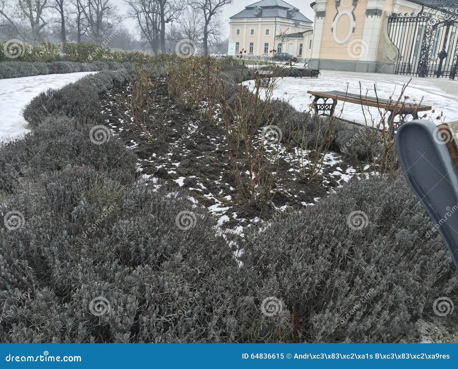 Left Flower stock image. Image of flower, left, flowers - 64836615