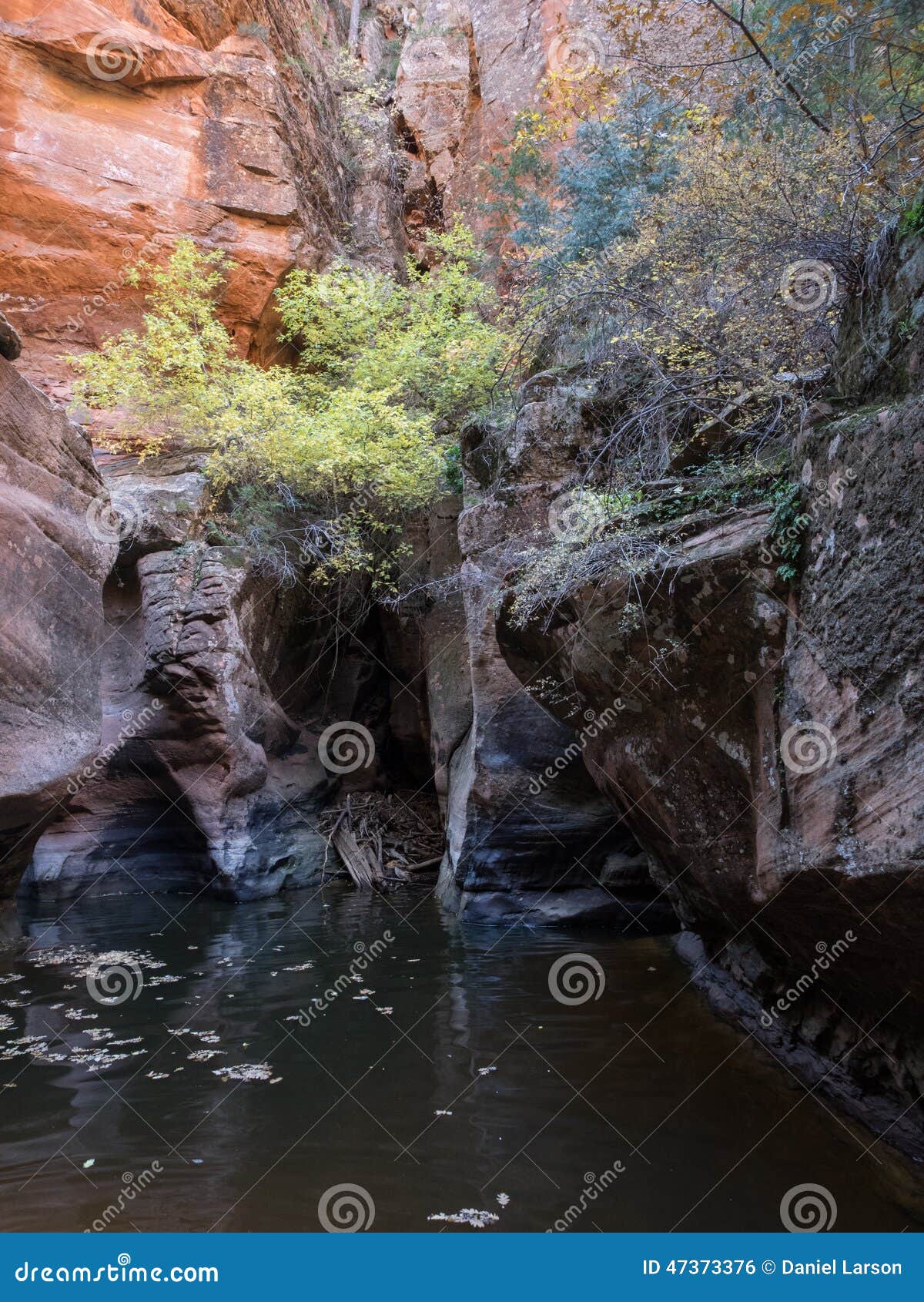 Left Fork North Creek stock photo. Image of national - 47373376