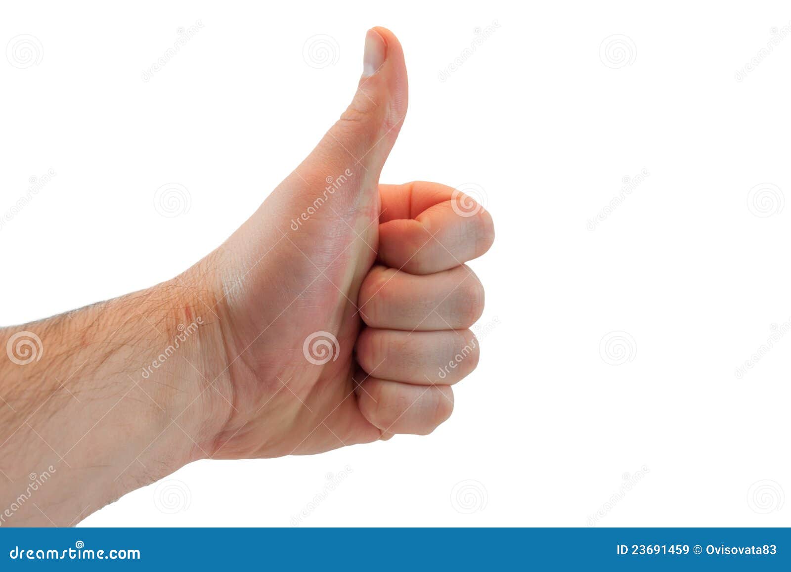 Thumbs up stock image. Image of male, hand, thumbs, left - 23691459