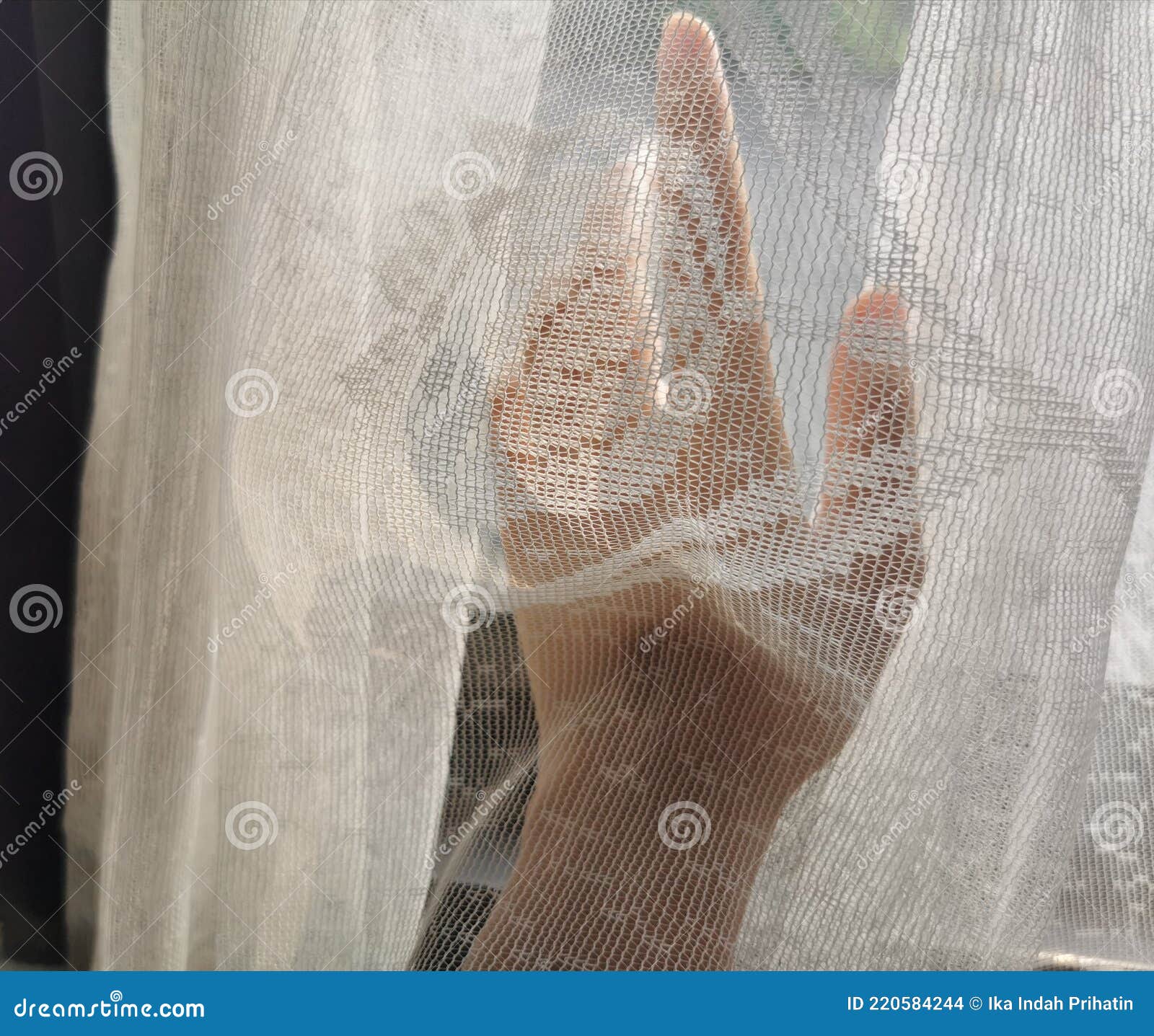 Left hand behind curtain stock photo. Image of bride - 220584244