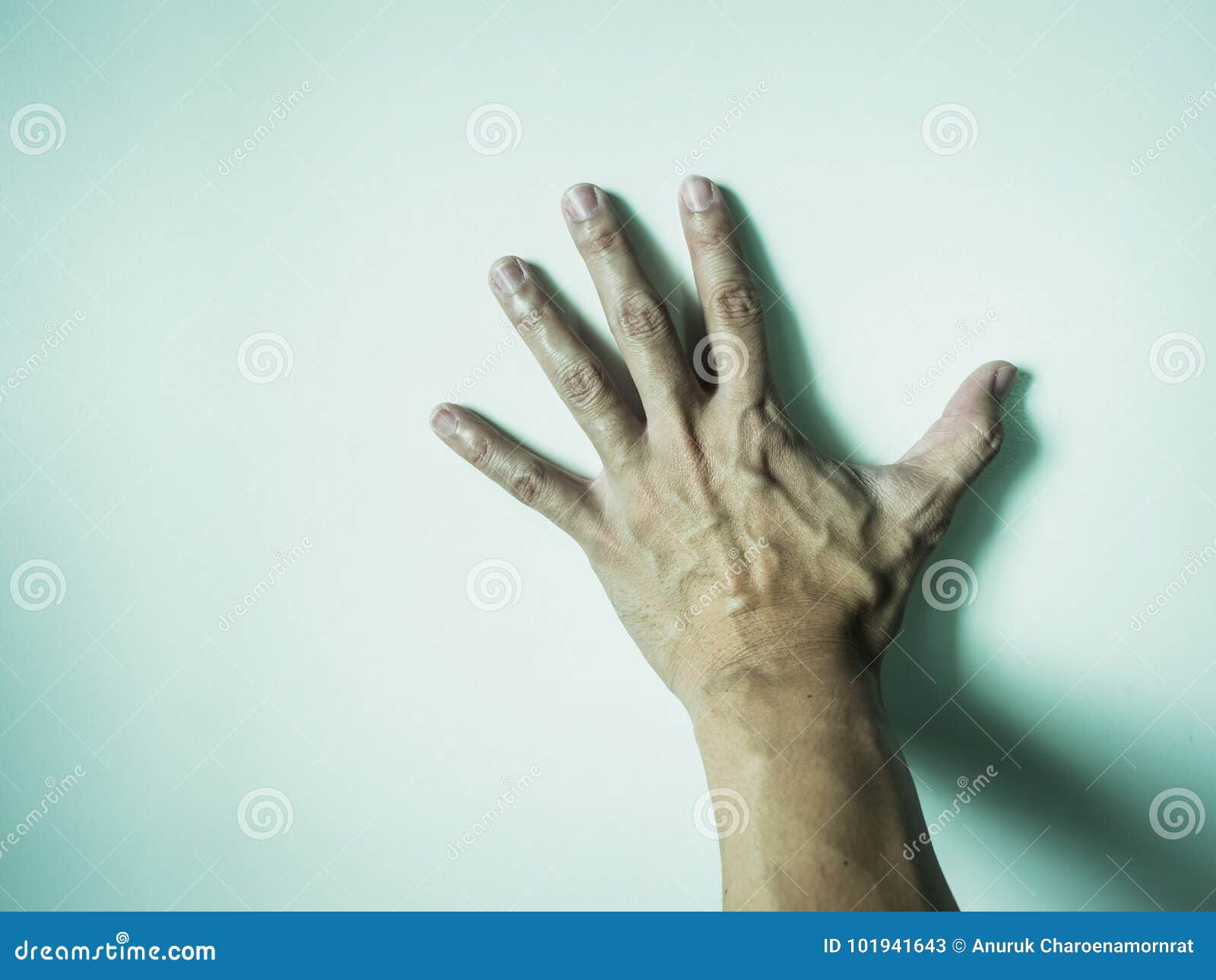 Left Hand with Blood Vessel from Man Worker Put on White Background ...