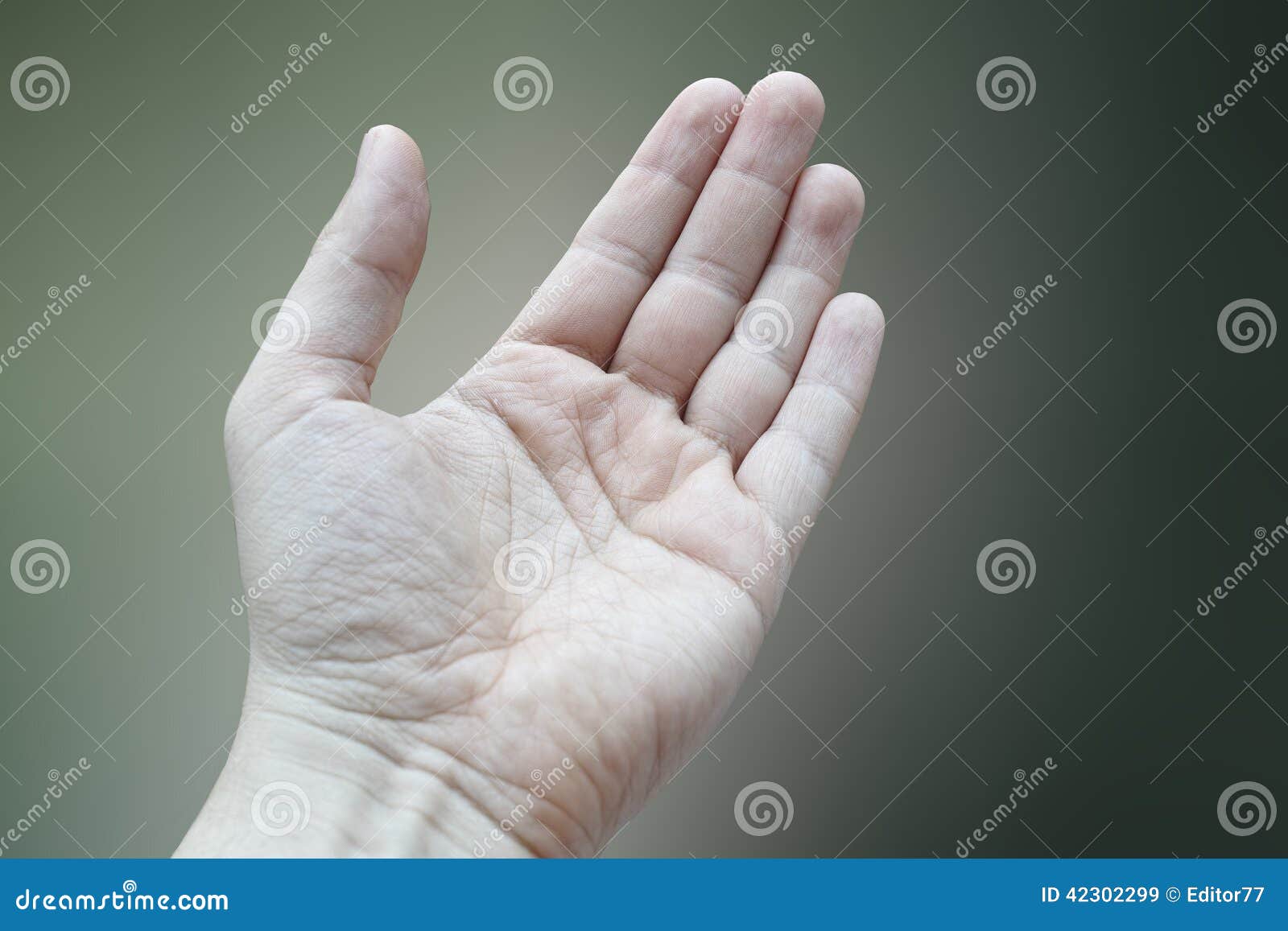 Left hand details stock image. Image of left, closeup - 42302299